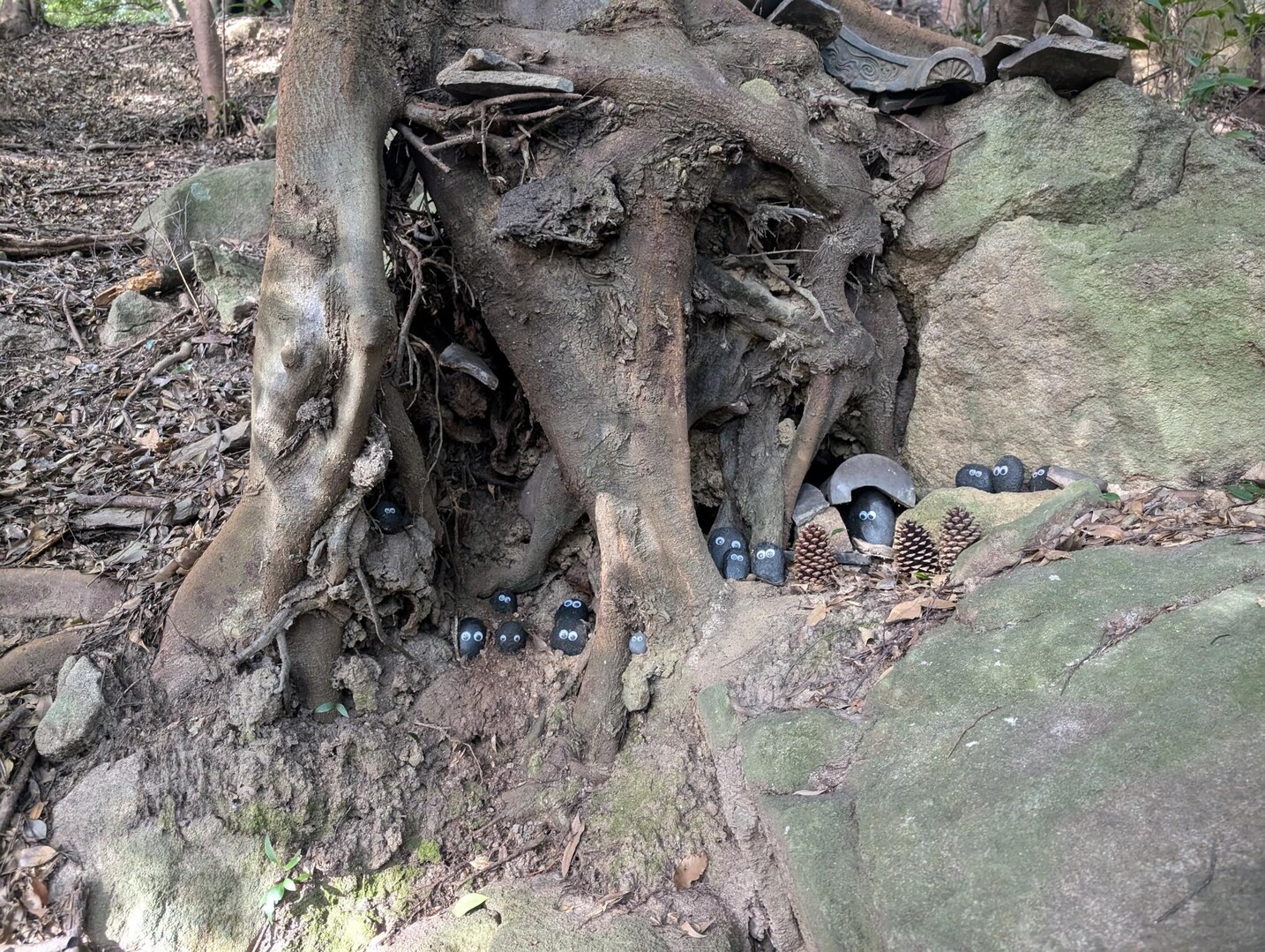 村積山へ。。。まっくろくろすけ探し / NINさんの村積山の活動データ | YAMAP / ヤマップ