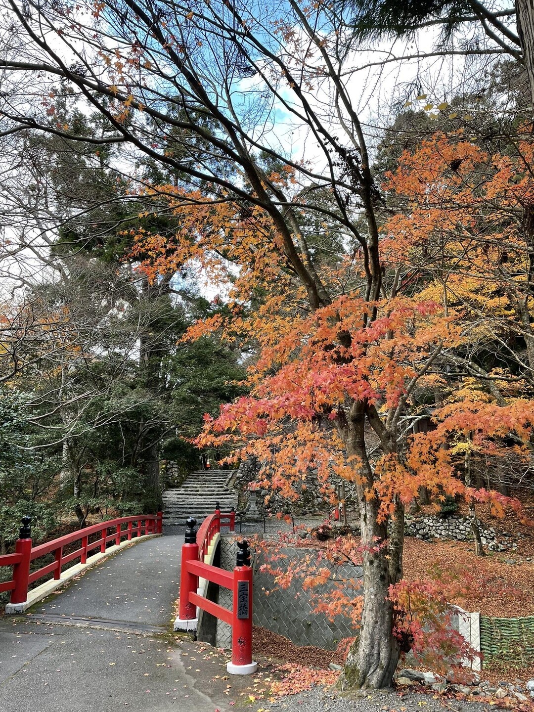 武奈ヶ岳1214m・御殿山1097m・シャクシコバの頭1121m・月見巖931m（滋賀県大津市）7回目 / パル子さんの比良山地・武奈ヶ岳・釈迦岳の活動データ | YAMAP / ヤマップ
