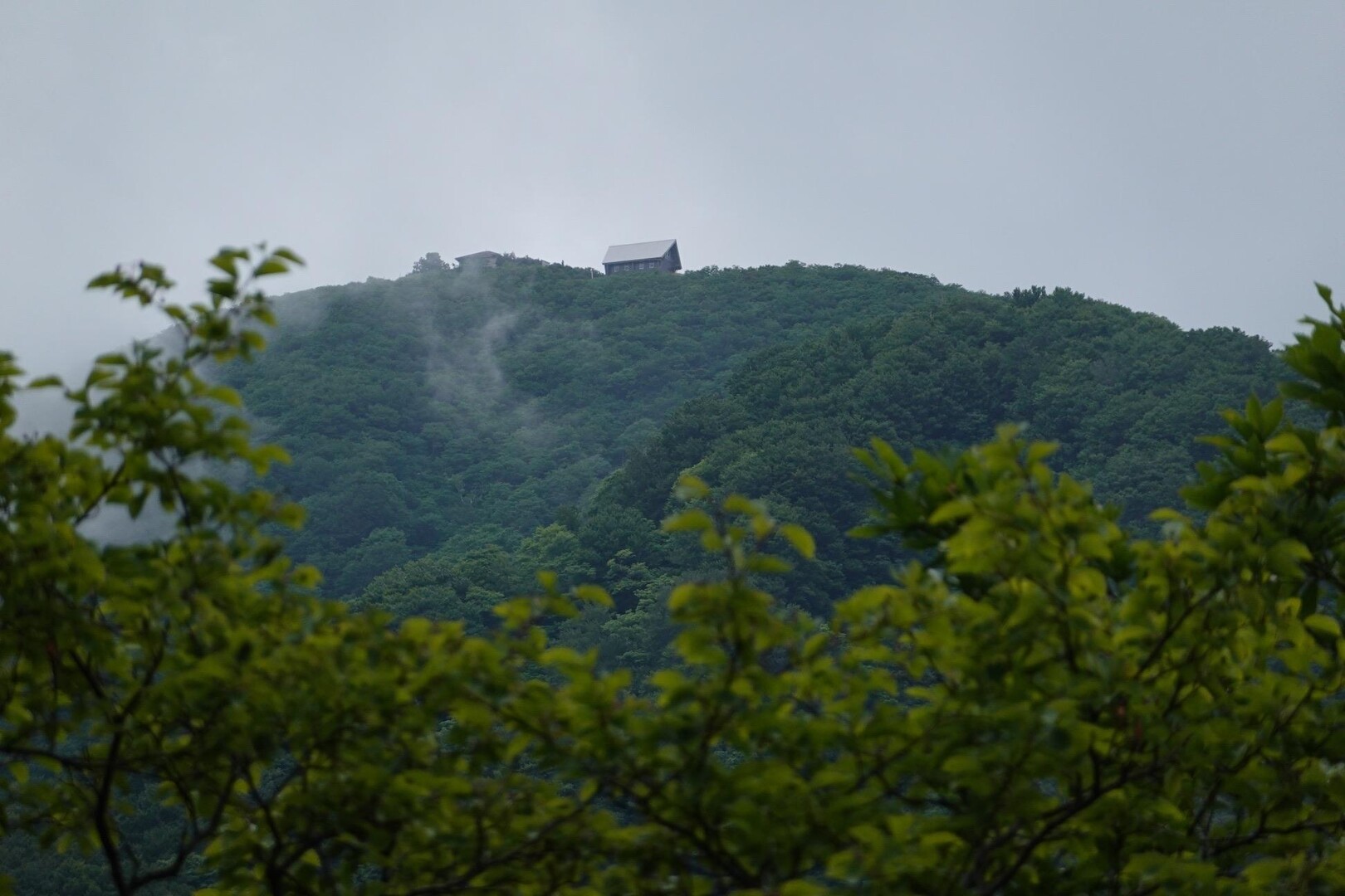 Training Day / リンパーさんの米山の活動データ | YAMAP / ヤマップ