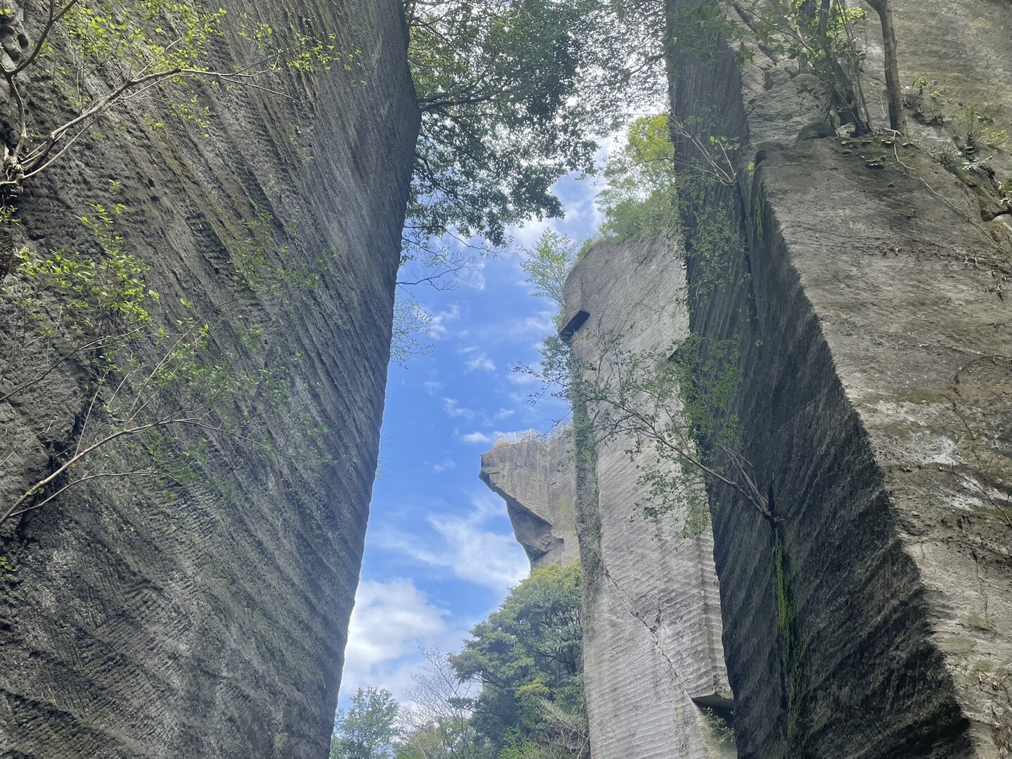 千葉県 鋸山🍀 / ひなさんの鋸山の活動データ | YAMAP / ヤマップ