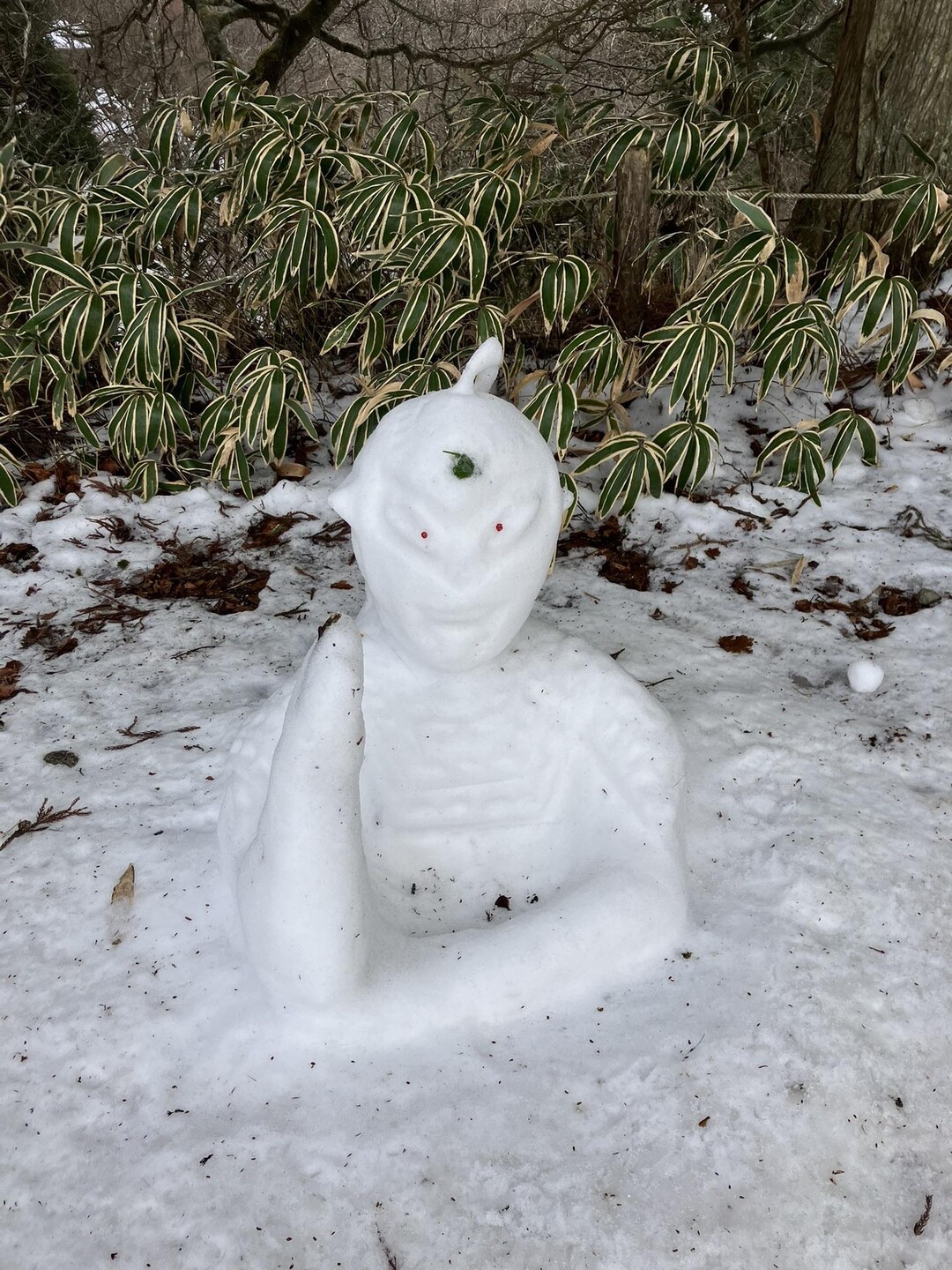 26回目の金剛山 / K-TAさんの金剛山・二上山・大和葛城山の活動データ | YAMAP / ヤマップ