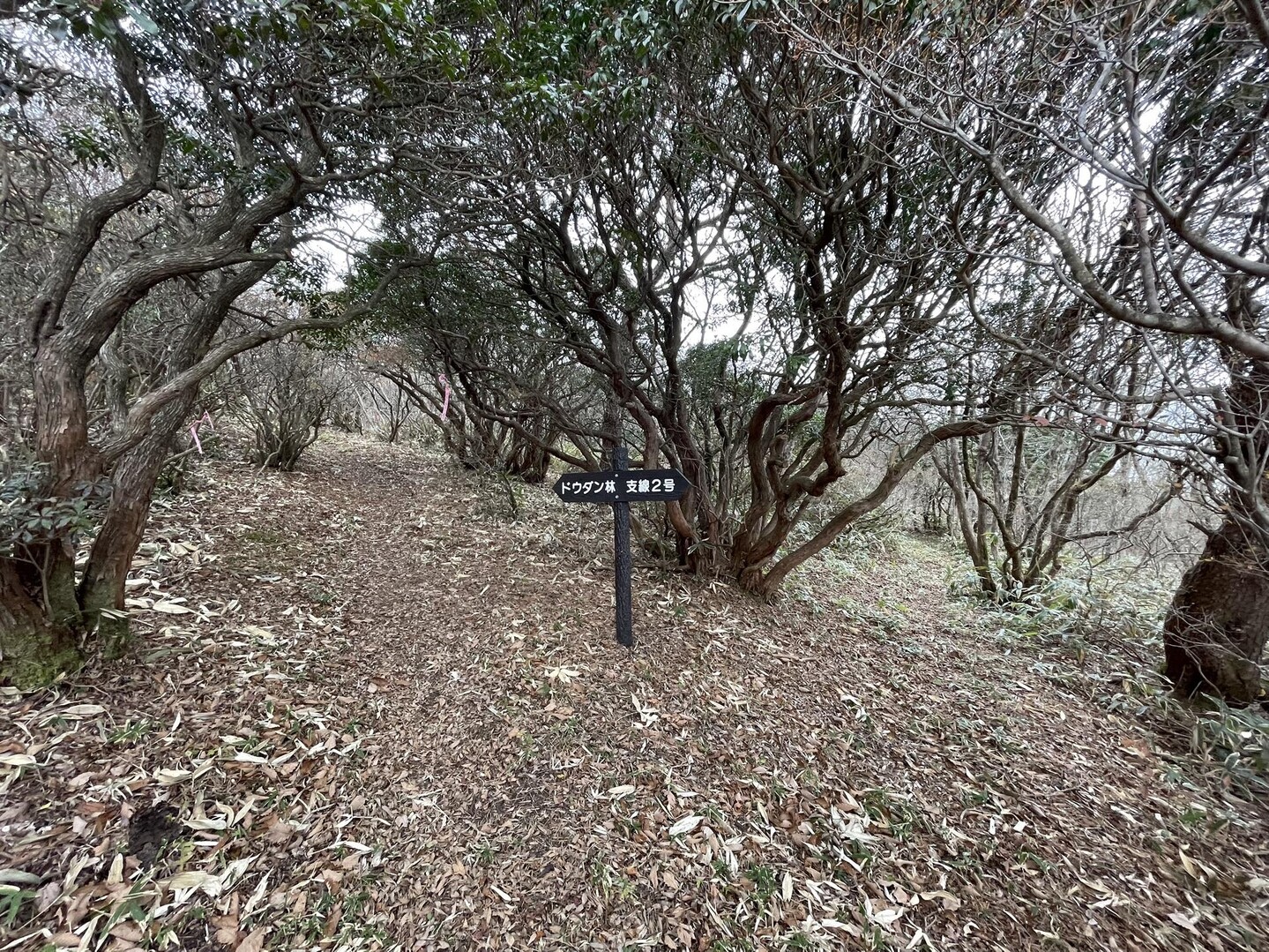 eeeeeeiichi さんの投稿したフィールドメモ | YAMAP / ヤマップ