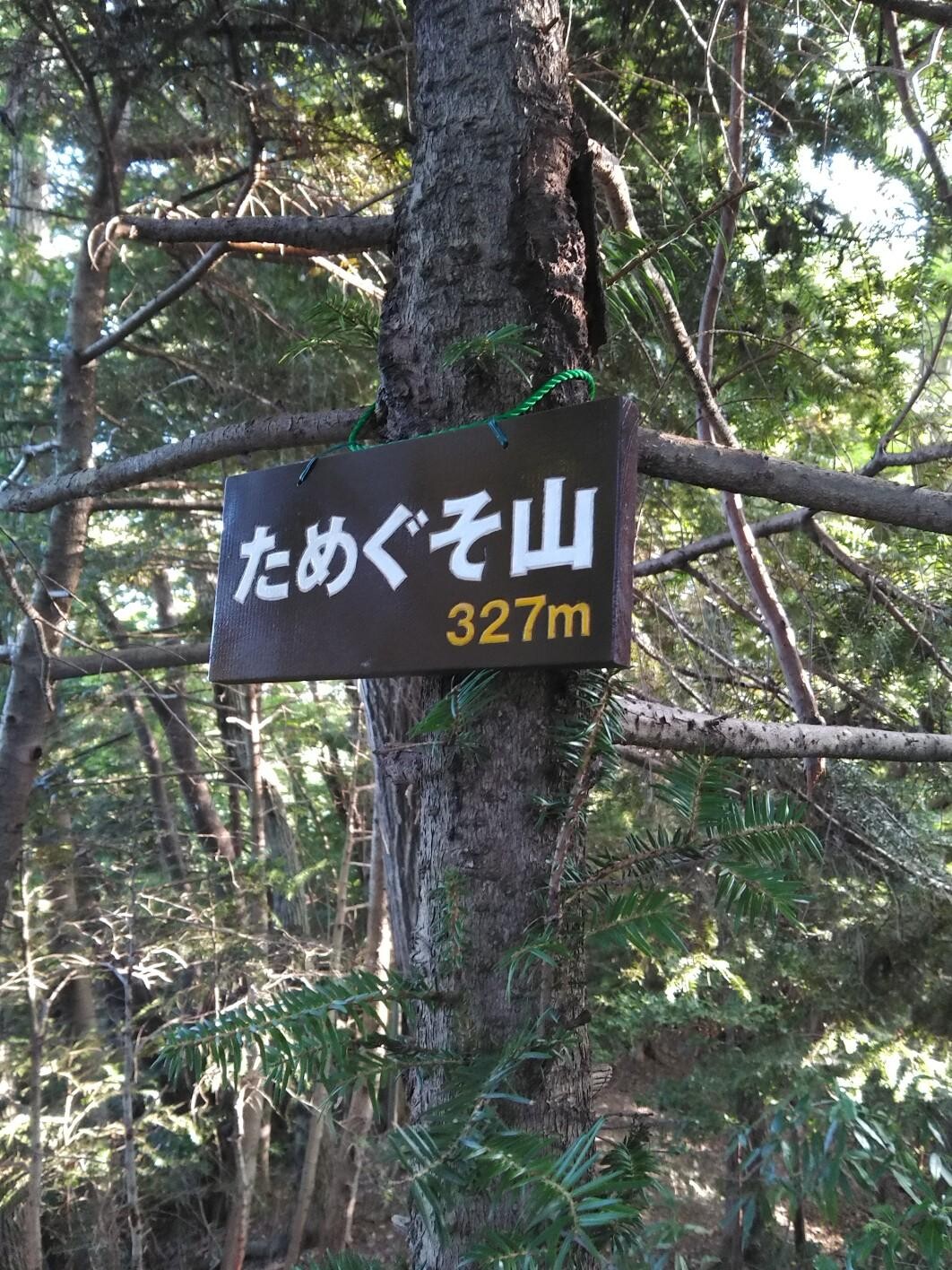 地蔵山・ためぐそ山・深沢山・勝峰山 / msjさんの赤ぼっこの活動データ | YAMAP / ヤマップ