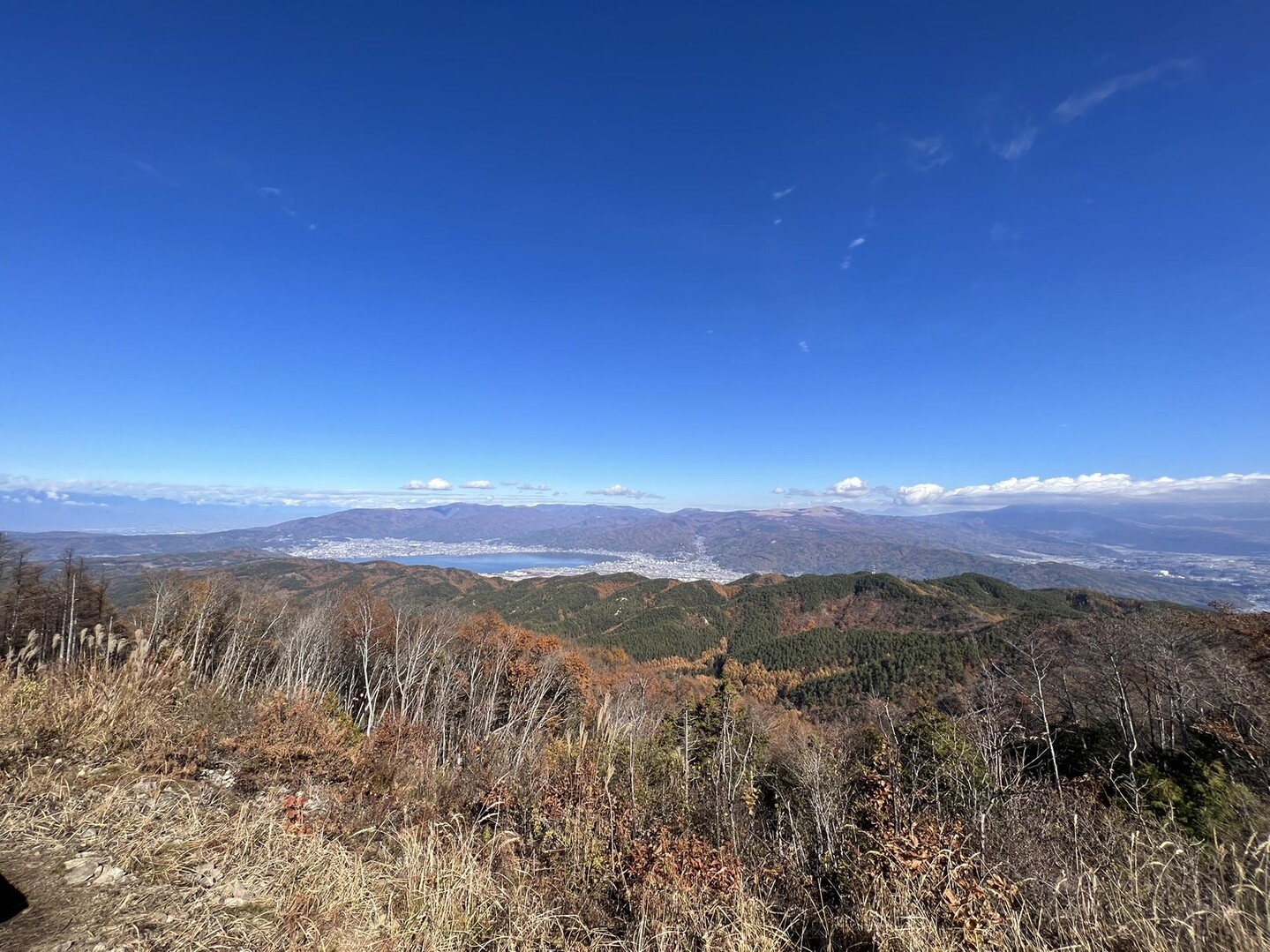 守屋山東峰・守屋山中嶽・守屋山 / Markさんの守屋山の活動データ | YAMAP / ヤマップ
