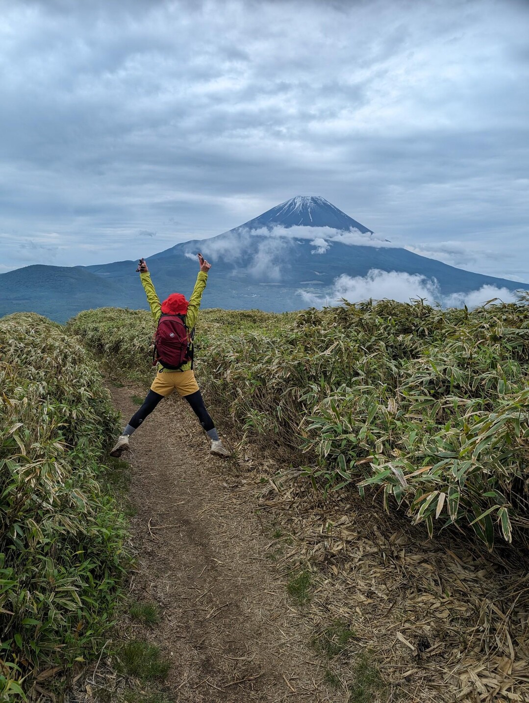 2024竜ヶ岳 / senさんの毛無山・雨ヶ岳・竜ヶ岳の活動データ | YAMAP / ヤマップ