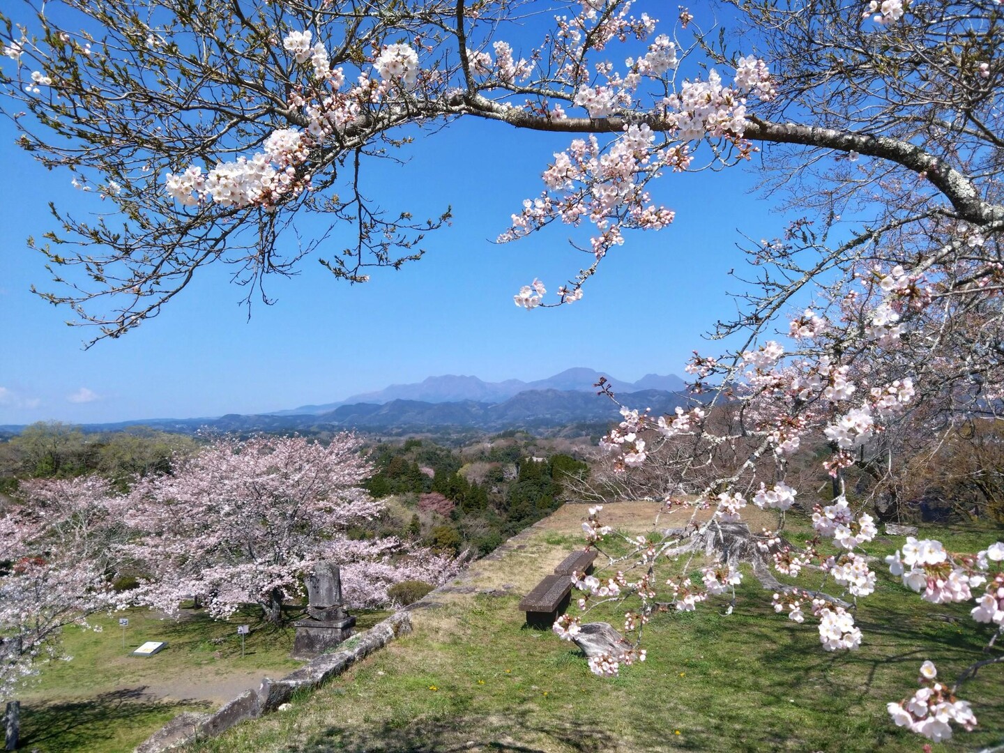 2024.4.1 大分県竹田市 岡城跡の... / 山バカ隊長さんのモーメント | YAMAP / ヤマップ