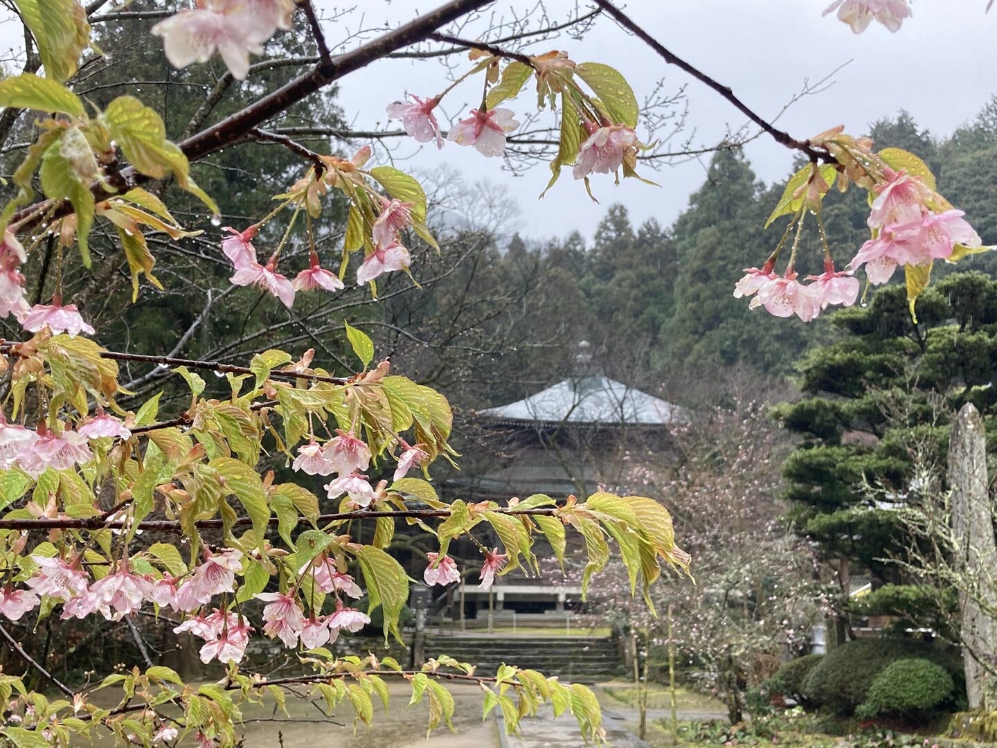 四国八十八ヶ所 65番札所 三角寺 雨... / koyunisoさんのモーメント | YAMAP / ヤマップ