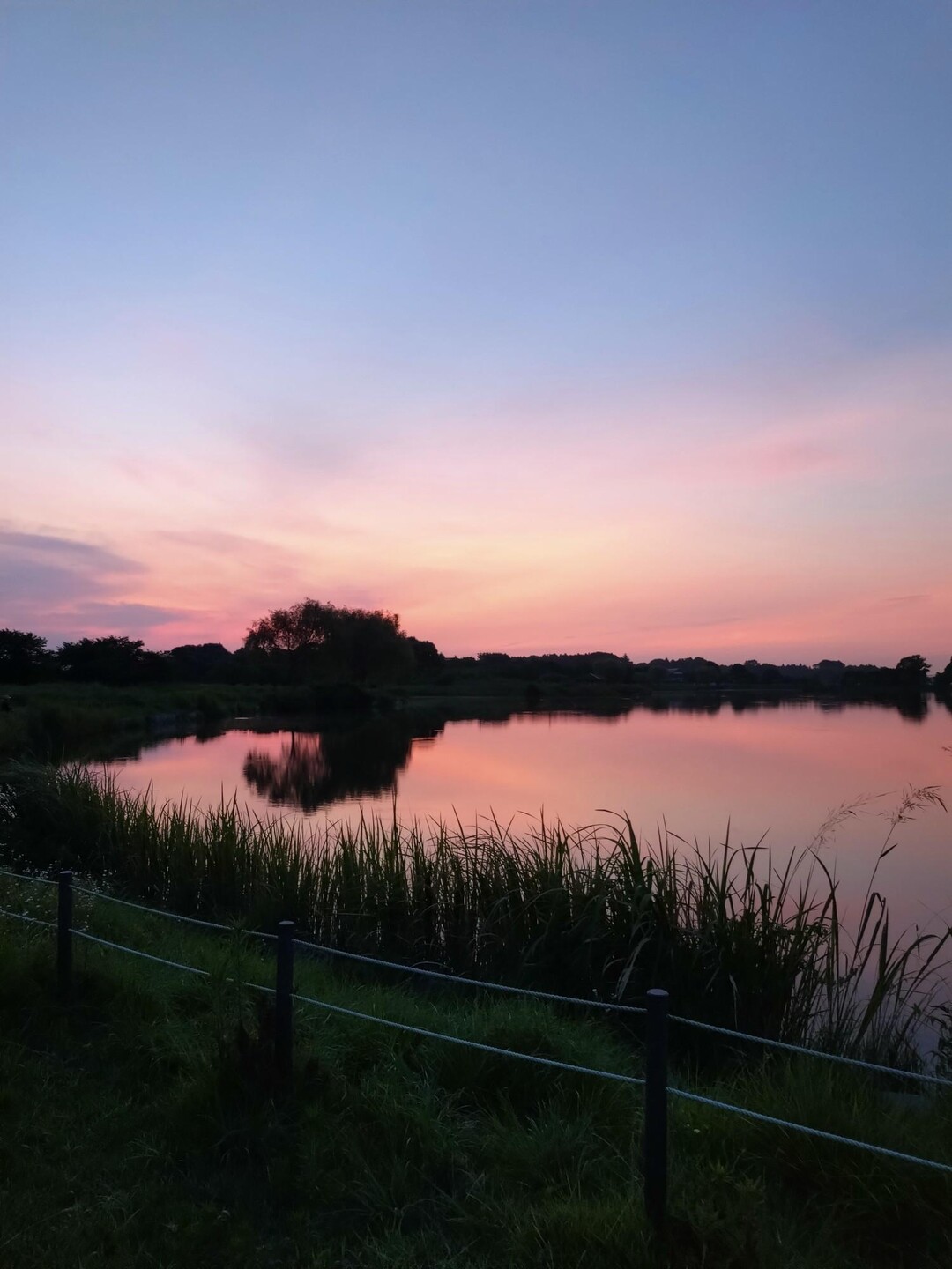 鶴沼山 7/24 / toshiさんの霞ヶ浦の活動データ | YAMAP / ヤマップ