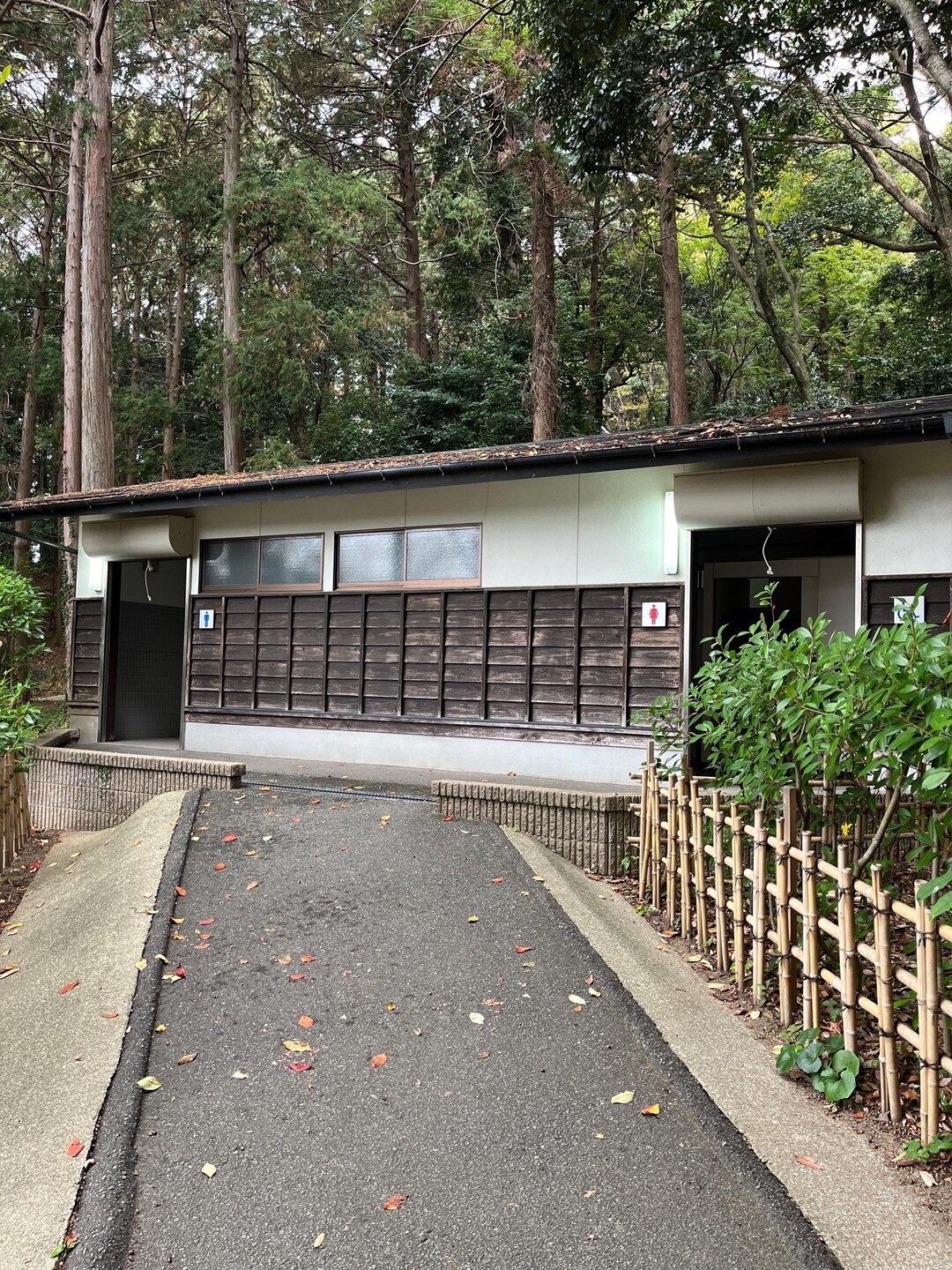 nekodakeさんの投稿したフィールドメモ | YAMAP / ヤマップ