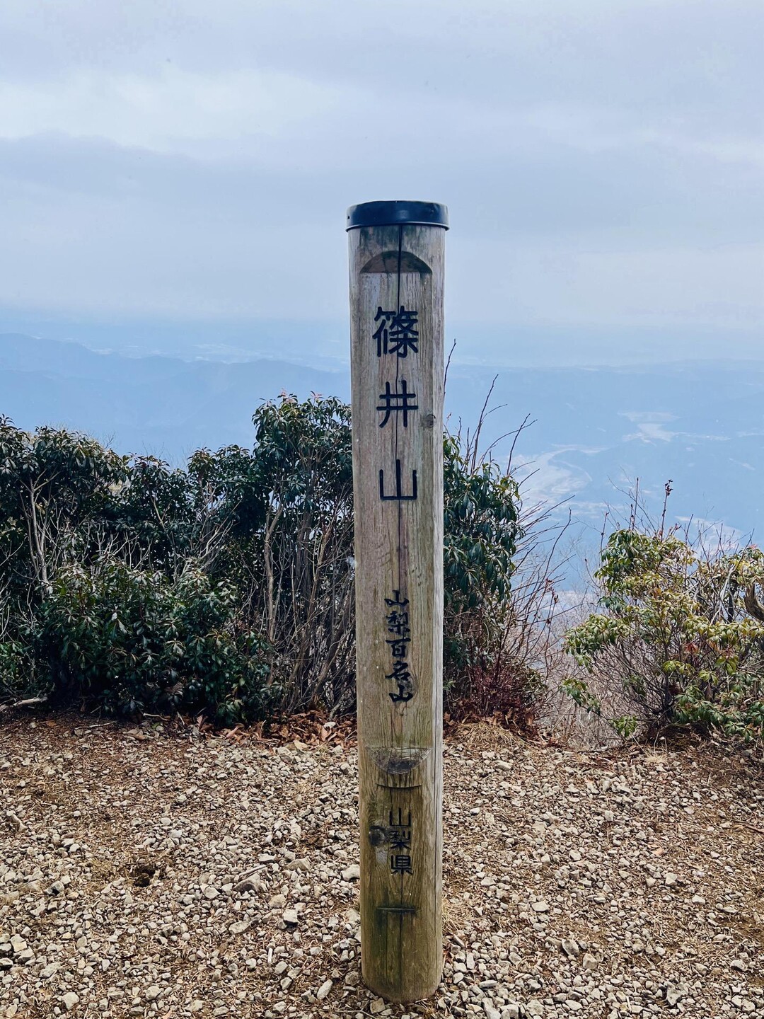 篠井山 / tripさんの篠井山の活動データ | YAMAP / ヤマップ