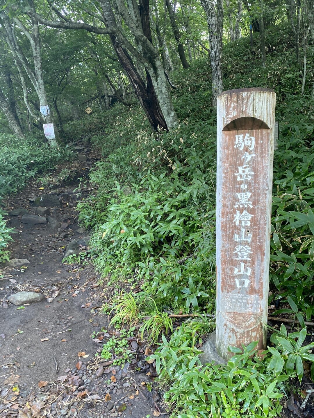 駒ヶ岳・黒檜山 / maxさんの赤城山・黒檜山・荒山の活動データ | YAMAP / ヤマップ