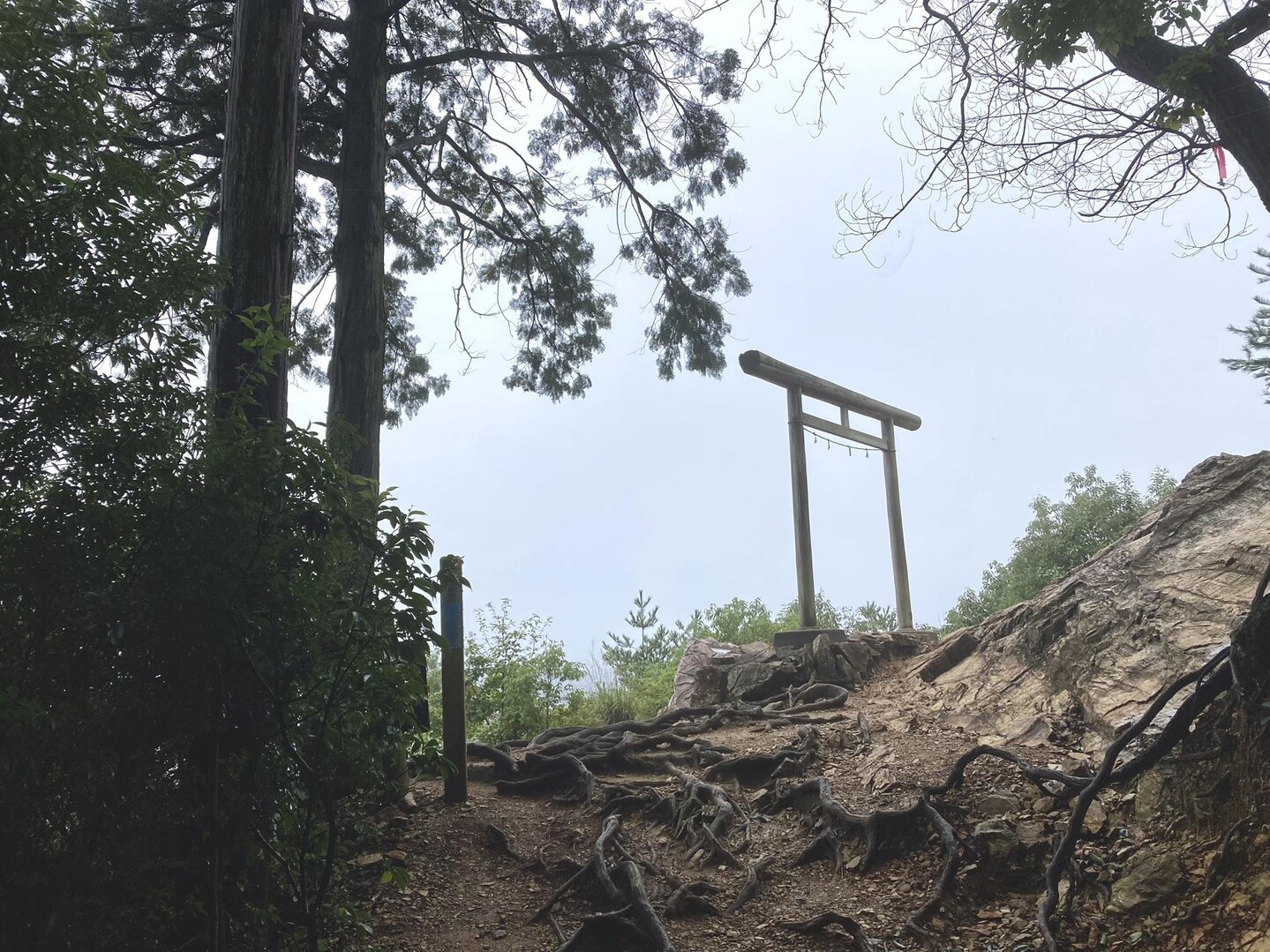 日和田山からの巾着田 / Ozanさんの日和田山・物見山の活動日記 | YAMAP / ヤマップ