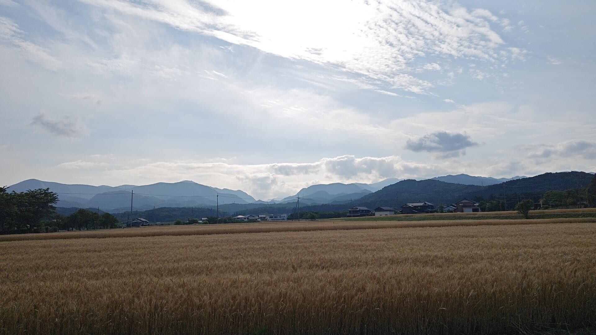 鈴鹿300座2nd 7日目 御池岳西方面周回 / Maronさんの八ツ尾山・高取山・正楽寺山の活動データ | YAMAP / ヤマップ