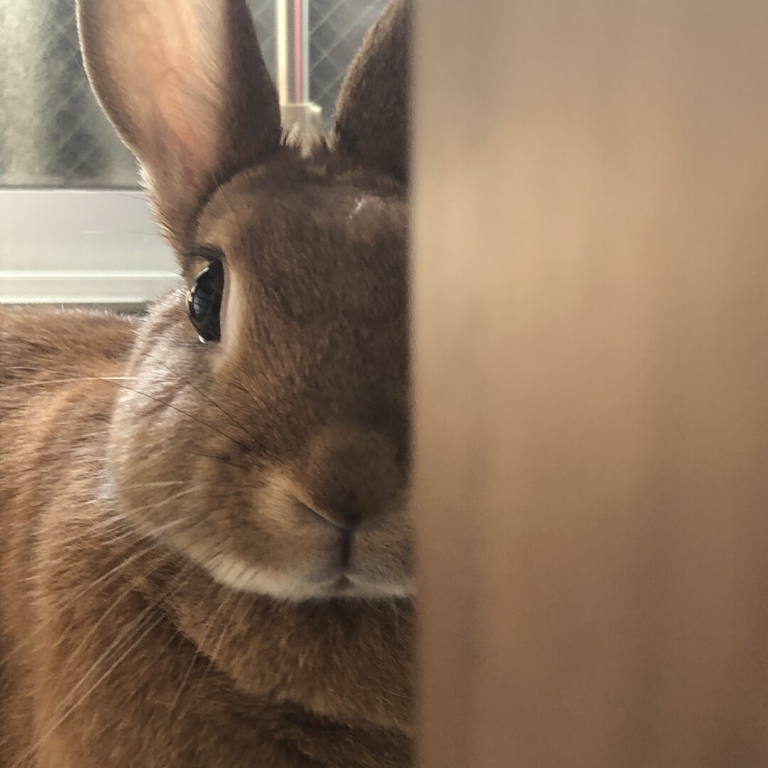 ei._.chanのページ | YAMAP / ヤマップ