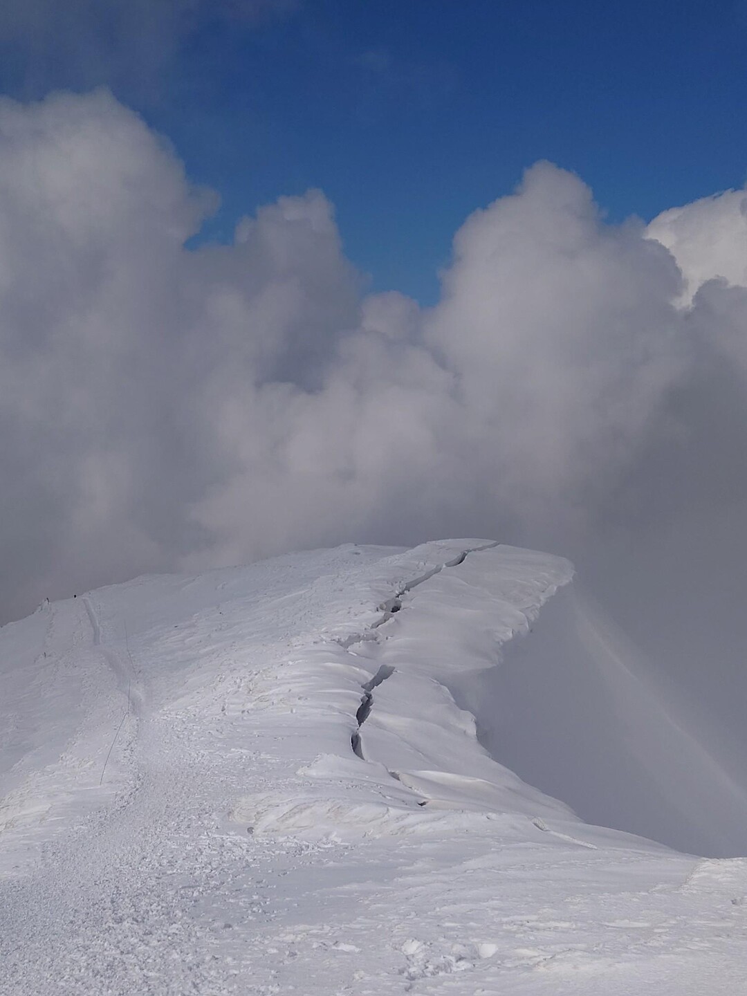 大山（弥山） / Sarahさんの大山・甲ヶ山・野田ヶ山の活動データ | YAMAP / ヤマップ