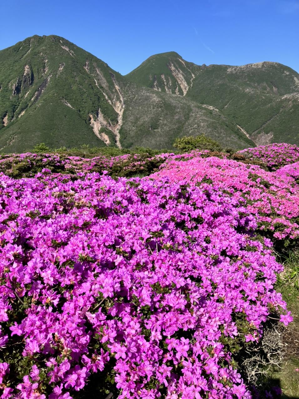 kakkyのページ | YAMAP / ヤマップ