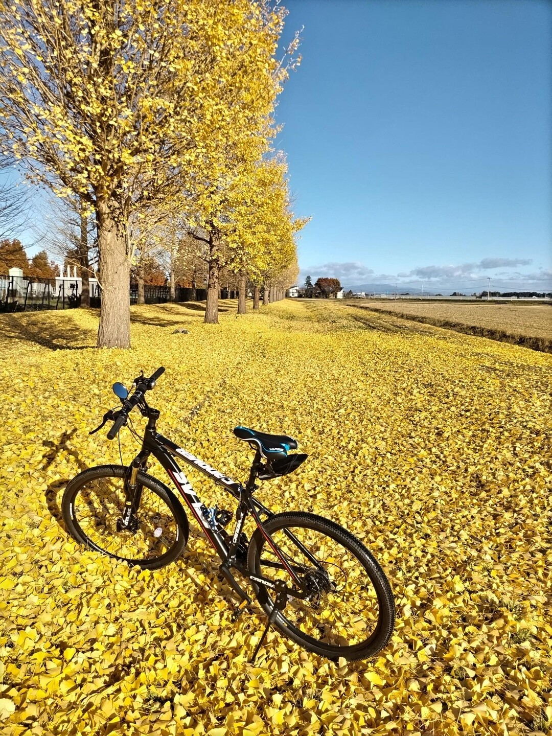 MTB-お尻の痛みを耐えながら2022-11-14 / 四季の山小屋さんのサイクリングの活動データ | YAMAP / ヤマップ