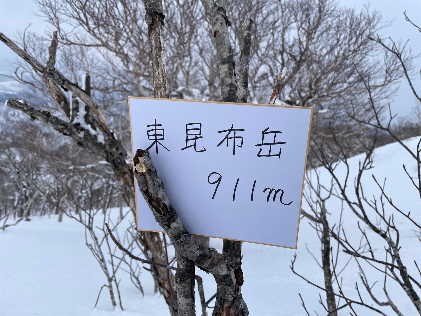 東昆布岳 (豊浦町) / 島ちゃん(島.RC)🌈さんの昆布岳・西昆布岳の活動データ | YAMAP / ヤマップ