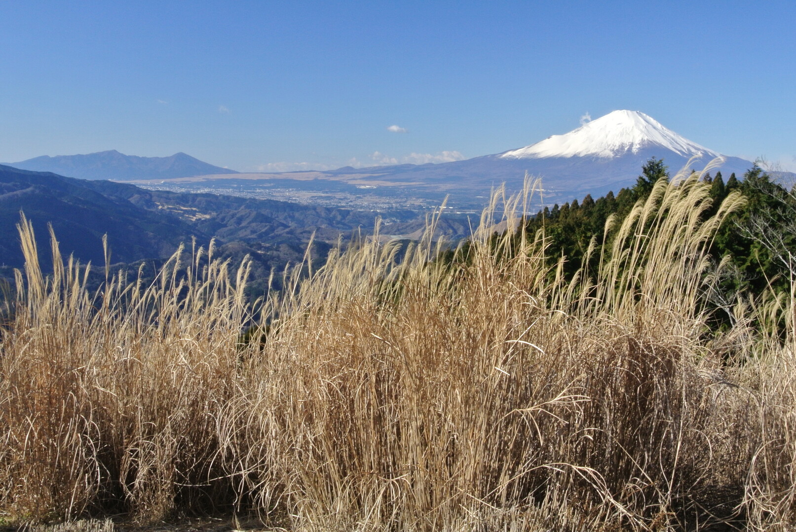 高松山・シダンゴ山・宮地山 / 与作34さんの高松山・大野山の活動日記 | YAMAP / ヤマップ