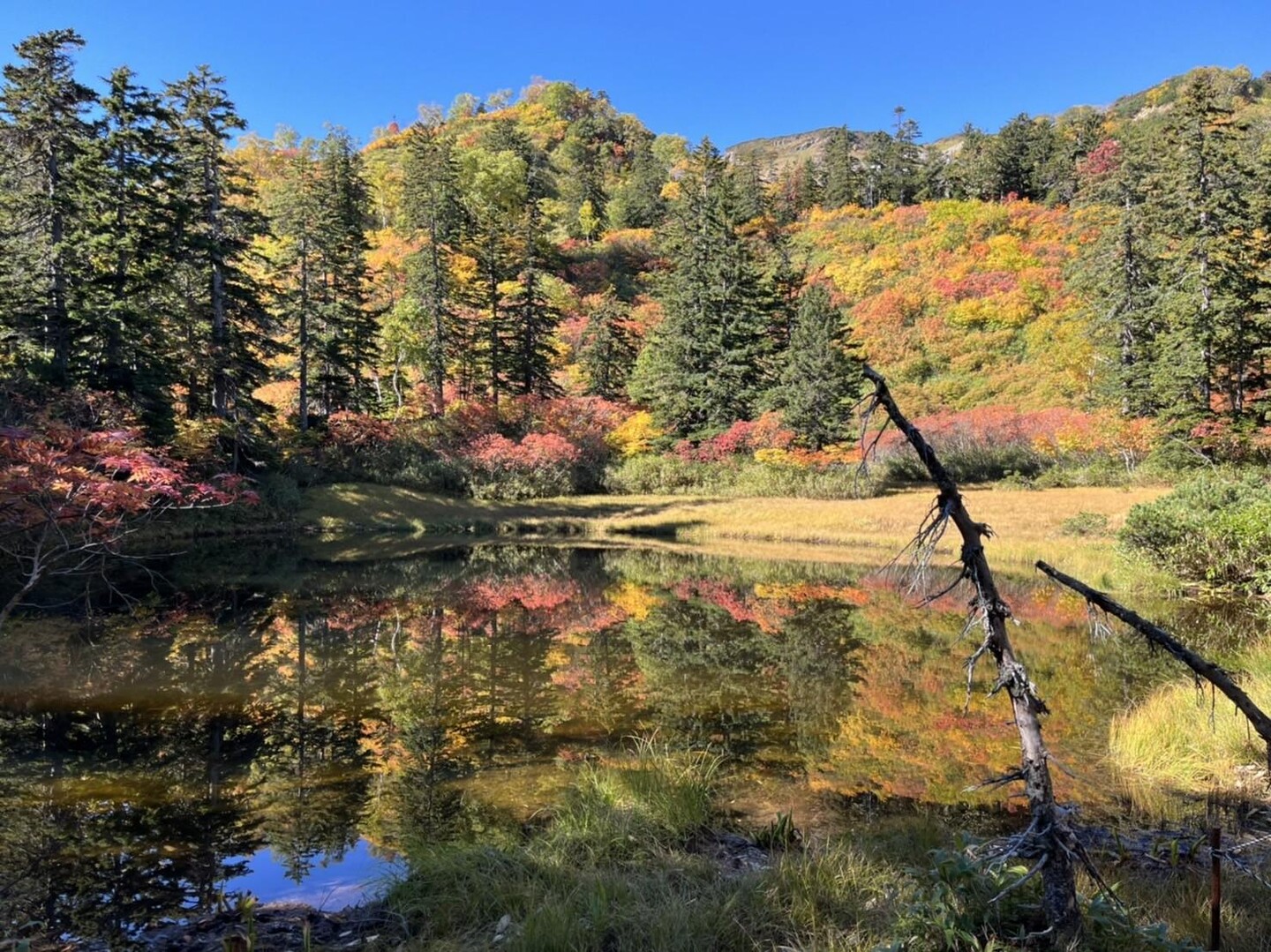台風一過で快晴の今日、こんな日に山に行け... / Arcさんのモーメント | YAMAP / ヤマップ