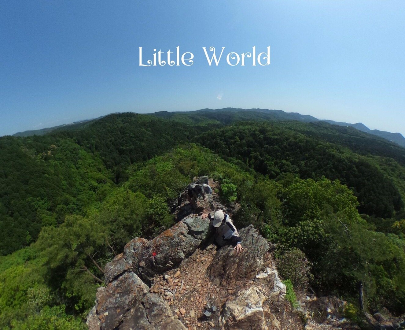 Little World / シロクマさんの八曽山の活動データ | YAMAP / ヤマップ