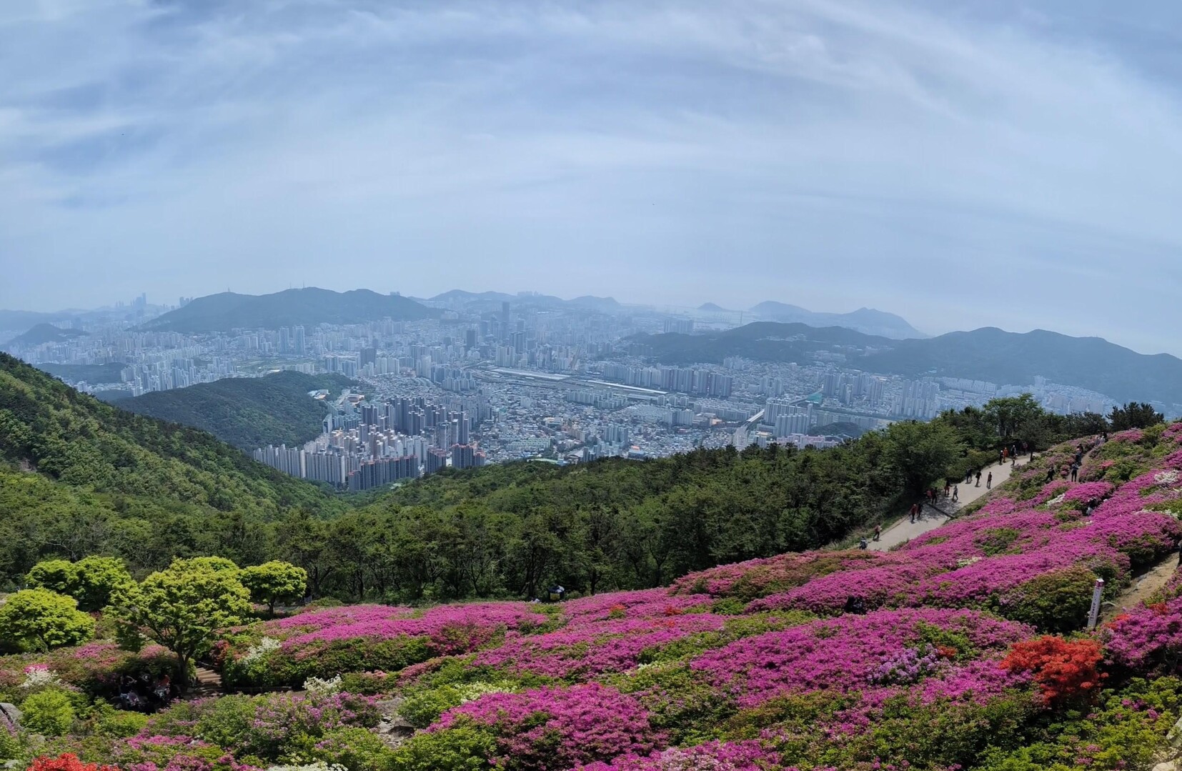 YAMAPin釜山~海外トレイル🏔️ / k501さんの姑堂峰・金井山の活動データ | YAMAP / ヤマップ