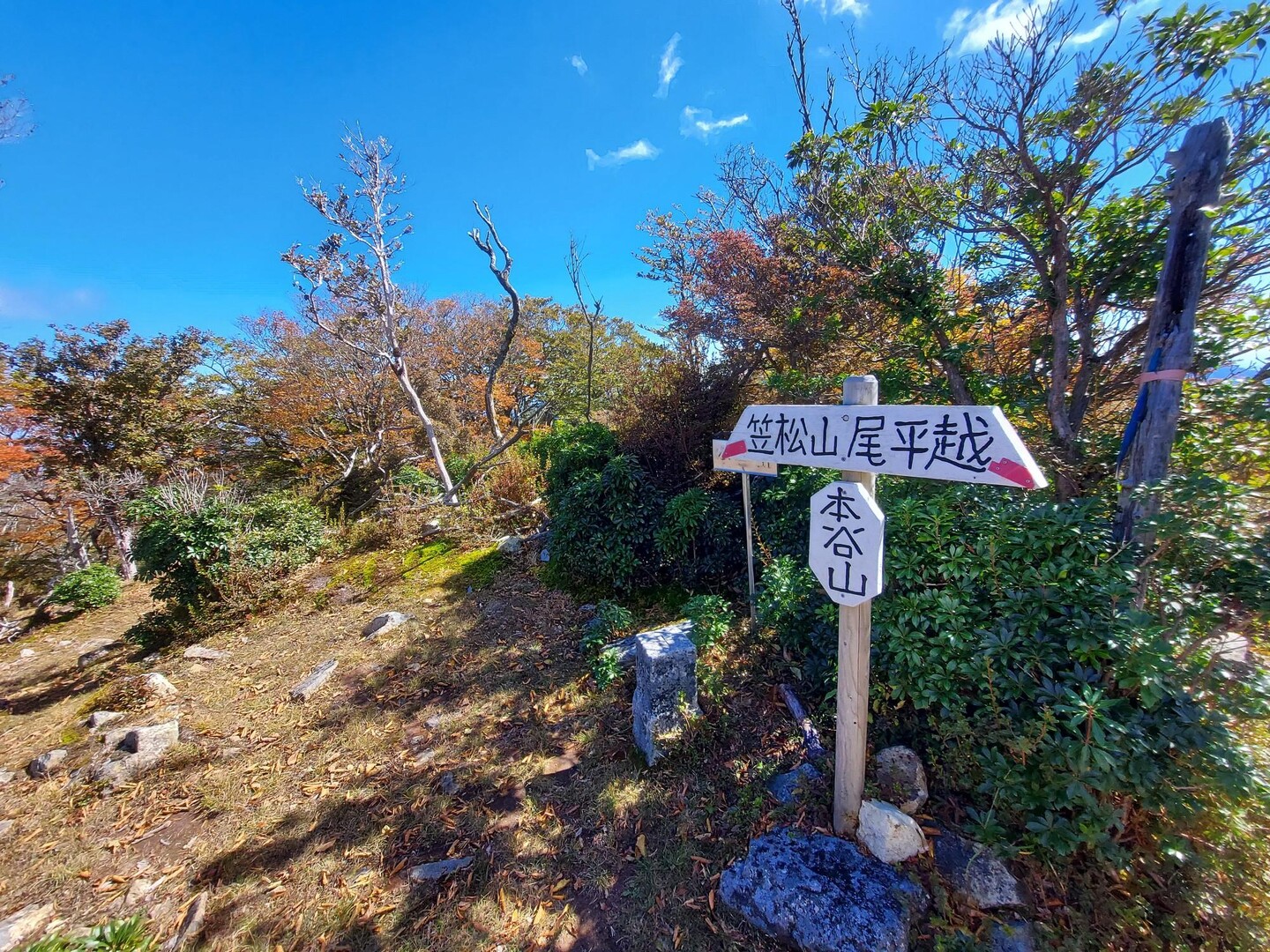 Jasperさんの投稿したフィールドメモ | YAMAP / ヤマップ