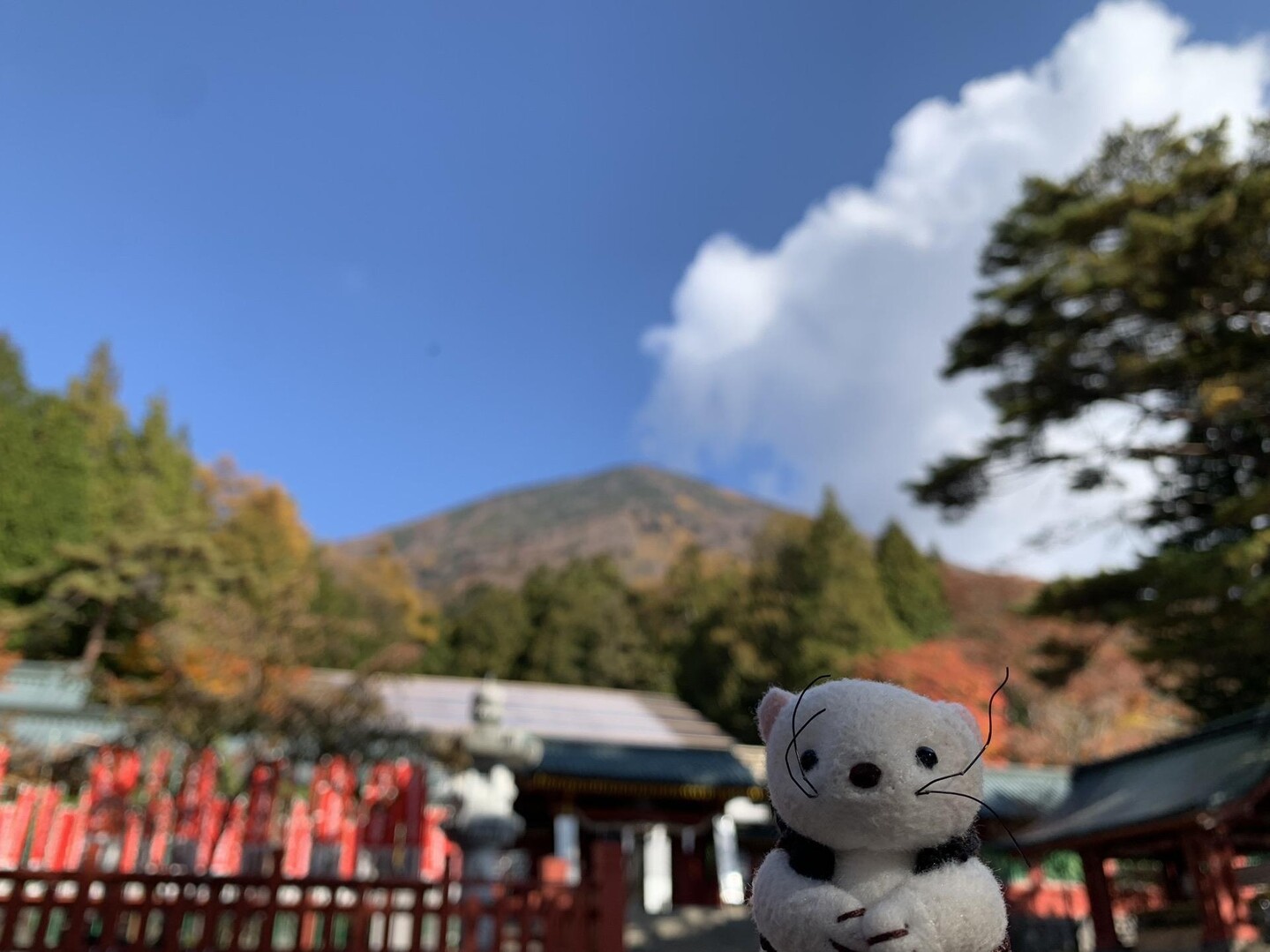 日光男体山 初冠雪の翌日 / ARさんの男体山の活動データ | YAMAP / ヤマップ