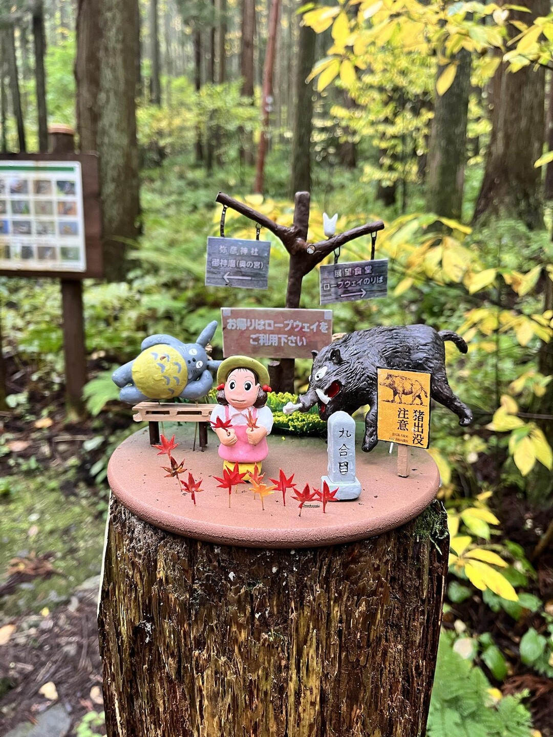 弥彦山 / 🔰 朝日登山部 STRさんの弥彦山・多宝山・雨乞山の活動データ | YAMAP / ヤマップ