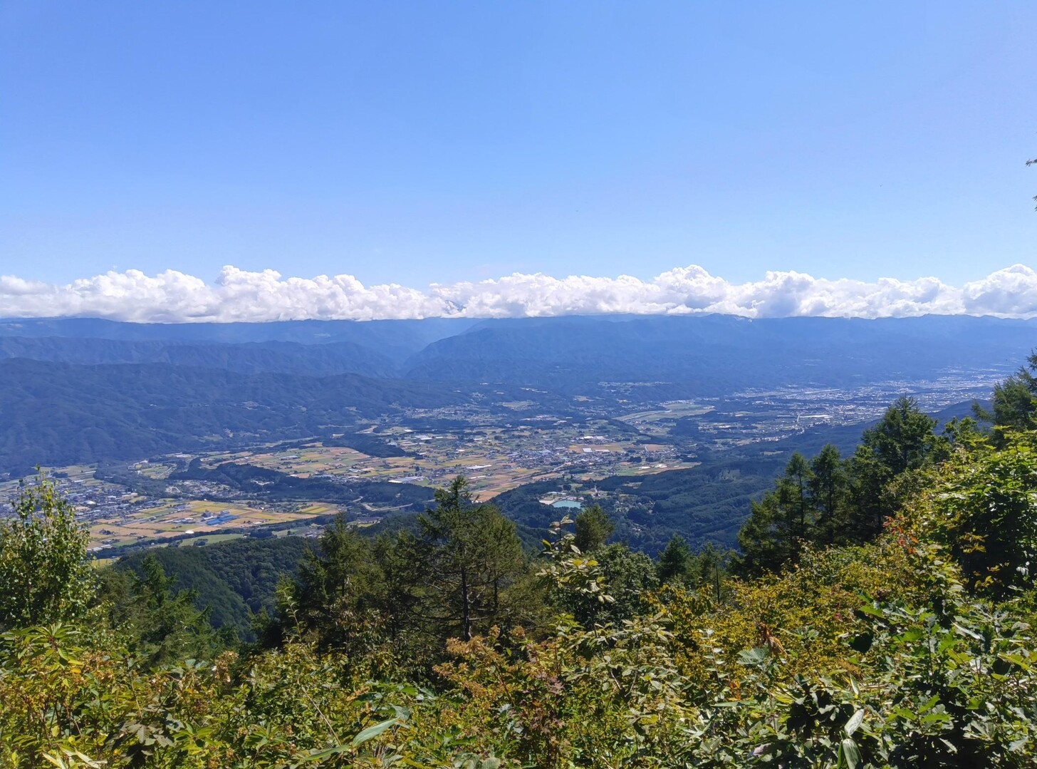 傘山 / Amiさんの傘山の活動データ | YAMAP / ヤマップ