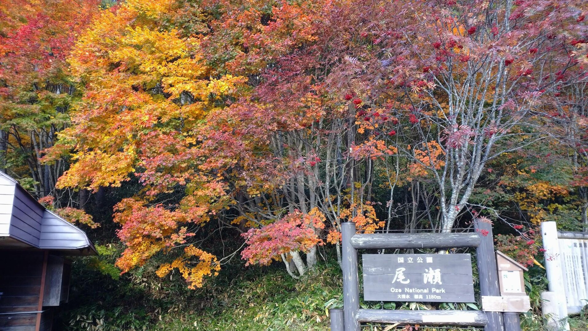尾瀬沼 大江湿原 / EIさんの尾瀬・燧ヶ岳の活動データ | YAMAP / ヤマップ