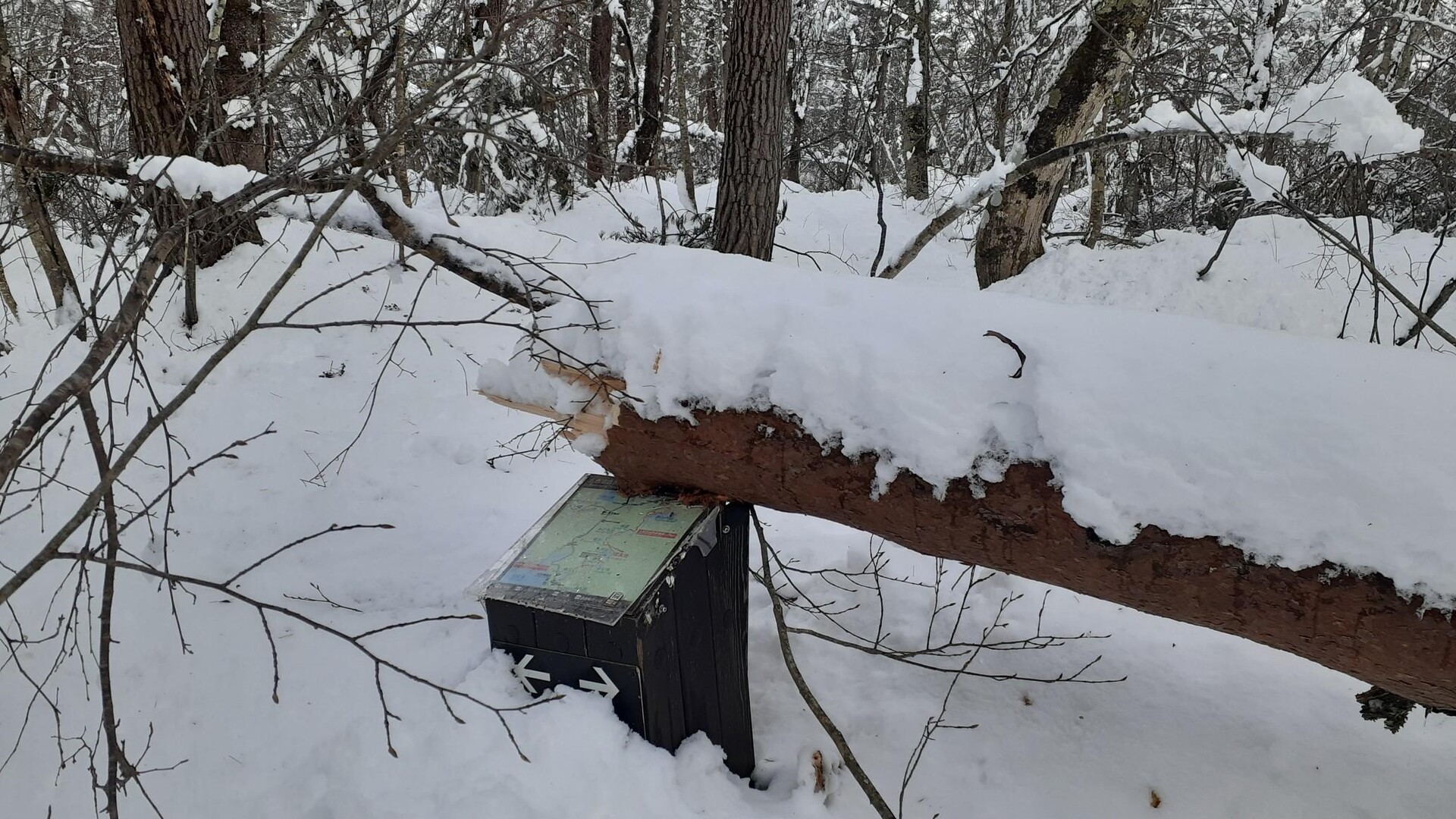 K2 さんの投稿したフィールドメモ | YAMAP / ヤマップ