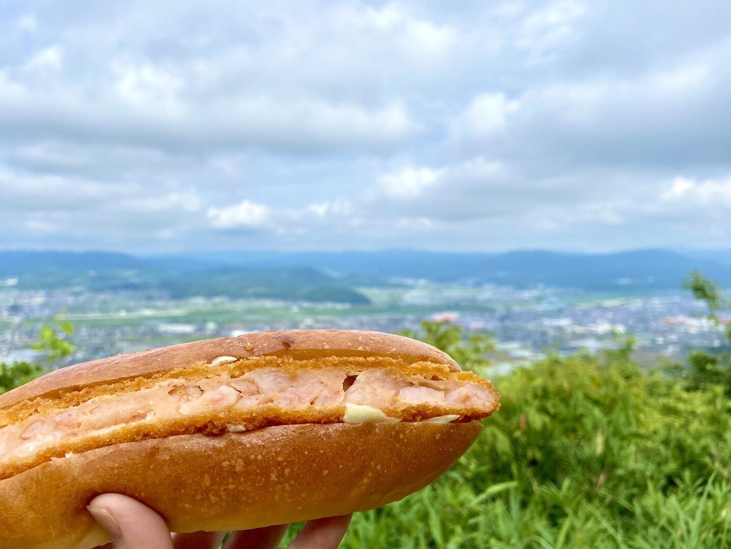 福山9 / me youさんの福山・江田山・高鳥居山の活動データ | YAMAP / ヤマップ
