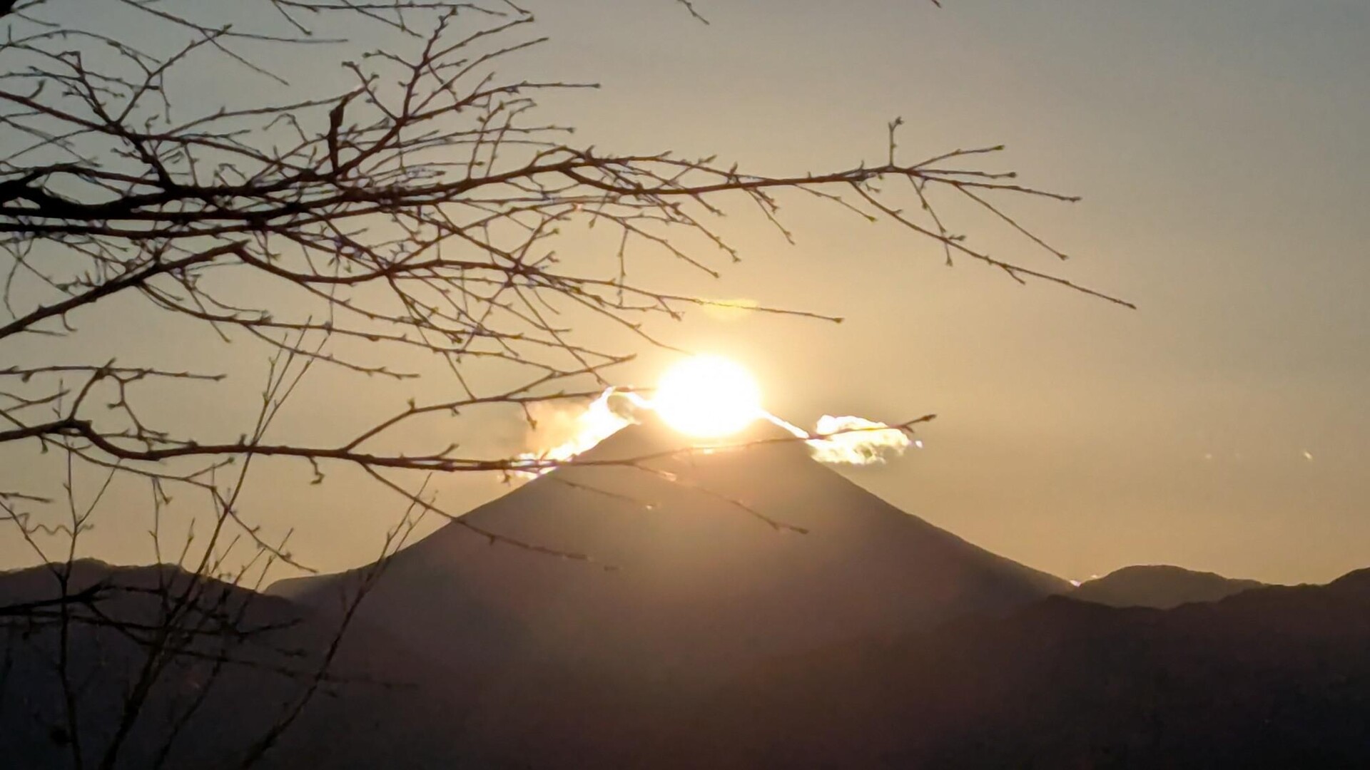 神変山・高尾山 / masahiroさんの高尾山・陣馬山・景信山の活動データ | YAMAP / ヤマップ