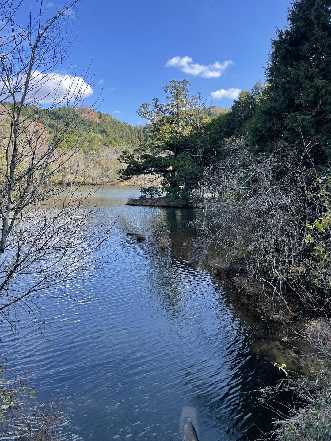 岩尾山・岩尾山西峰 / mikiさんの岩尾山の活動データ | YAMAP / ヤマップ