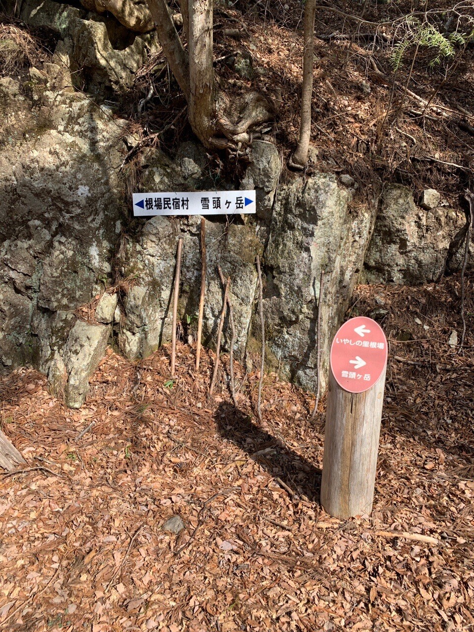 TKSさんの投稿したフィールドメモ | YAMAP / ヤマップ