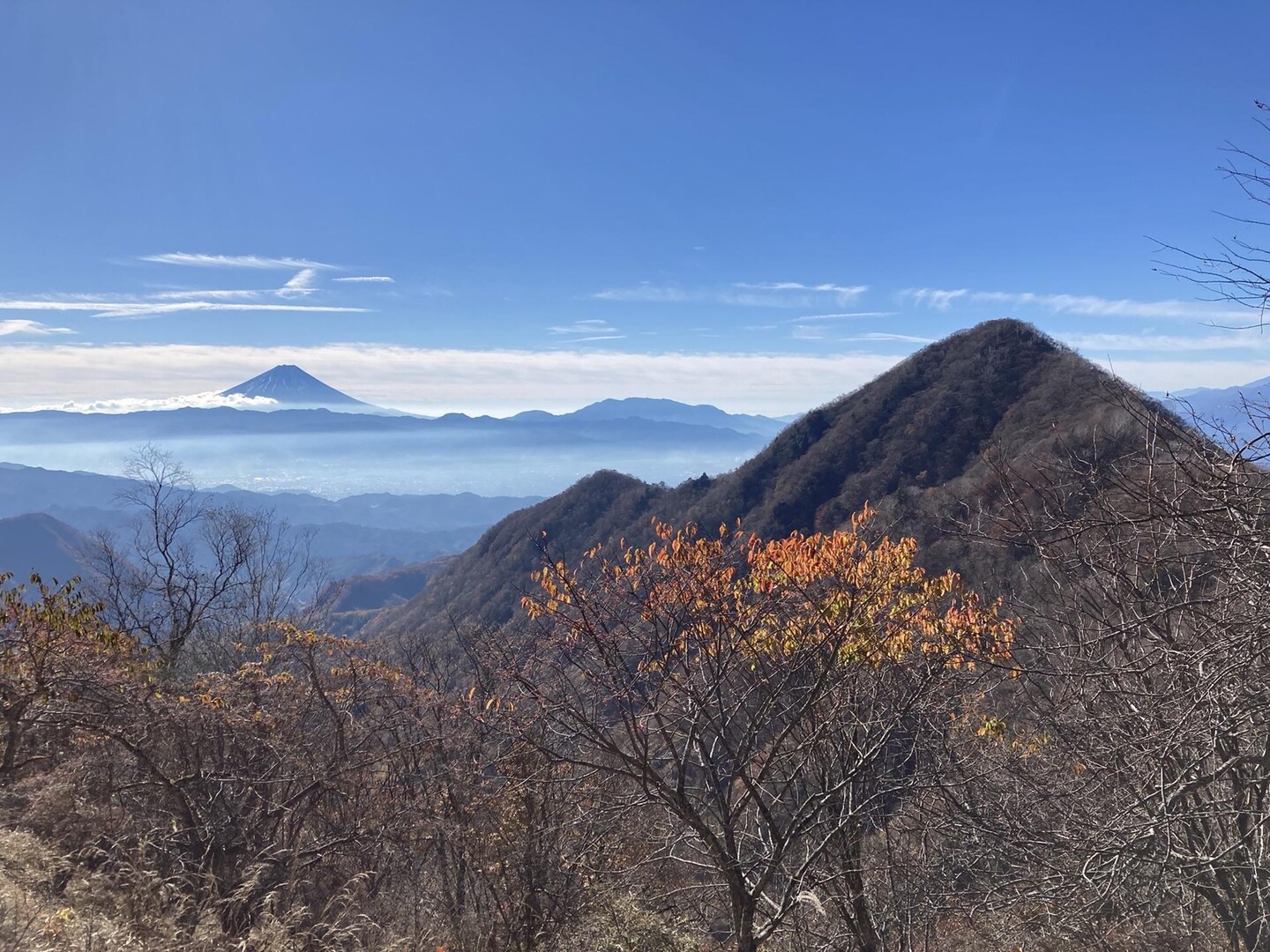 茅ヶ岳〜曲岳〜太刀岡山 / GUMIさんの茅ヶ岳・金ヶ岳・太刀岡山の活動データ | YAMAP / ヤマップ