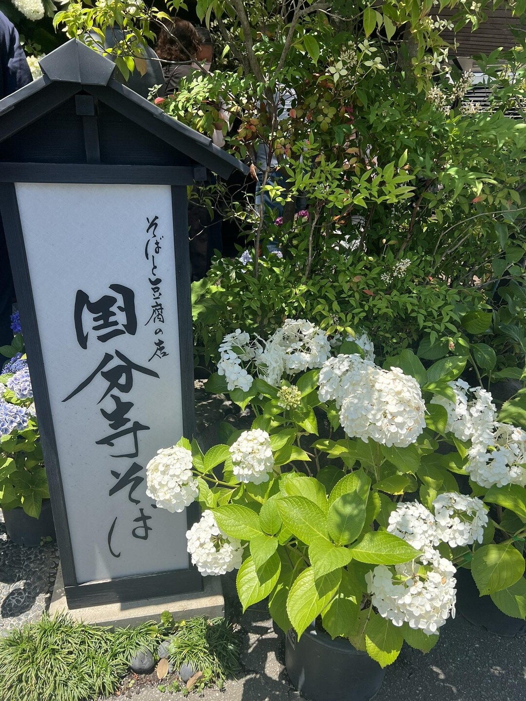 6月7日、子供達から海老名にある「国分寺... / Nic_kgさんのモーメント | YAMAP / ヤマップ