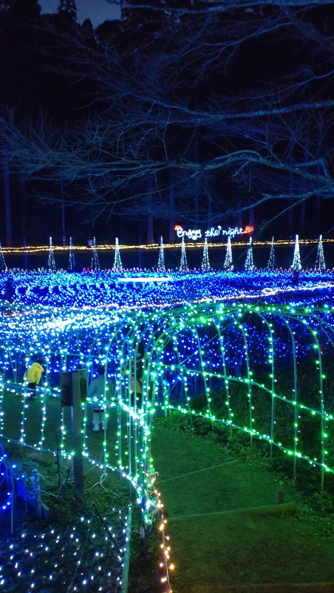 いちはらクオードの森イルミネーション / tak&kayさんの船塚山の活動データ | YAMAP / ヤマップ