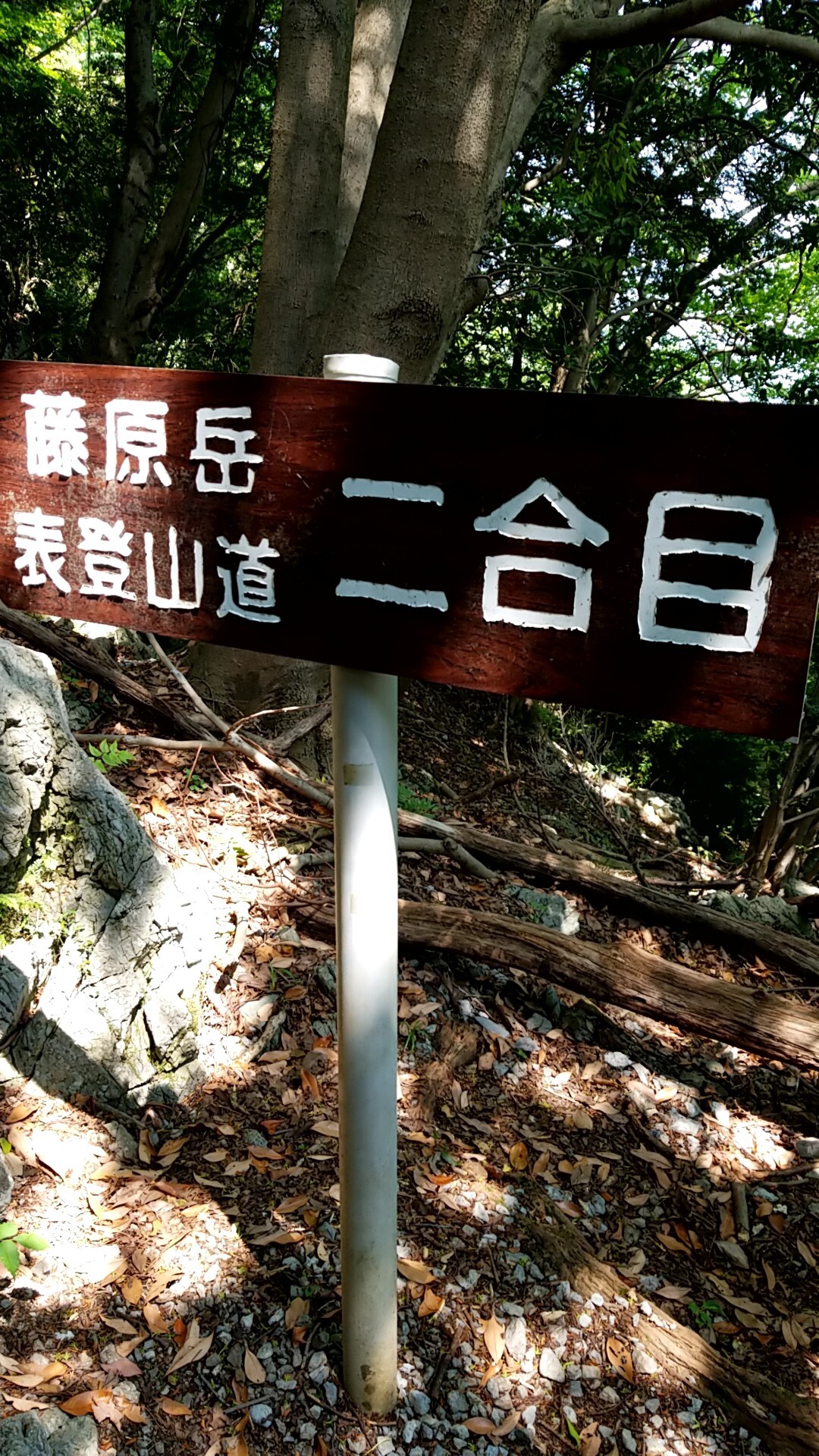 Kさんの投稿したフィールドメモ | YAMAP / ヤマップ