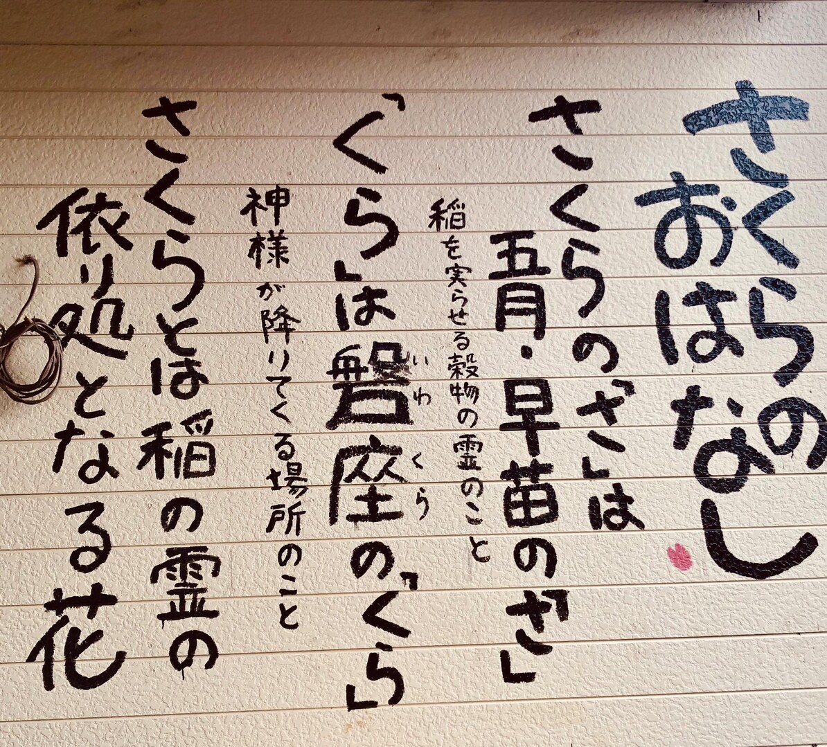 桜が散る前に… / 登 人 《 ITC-ONE 》さんの吉野山・青根ヶ峰・百貝岳の活動データ | YAMAP / ヤマップ
