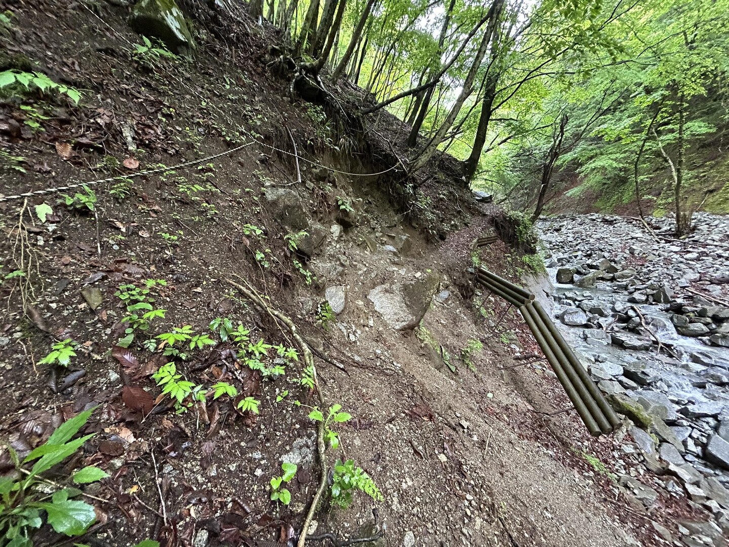 やまねこさんの投稿したフィールドメモ | YAMAP / ヤマップ