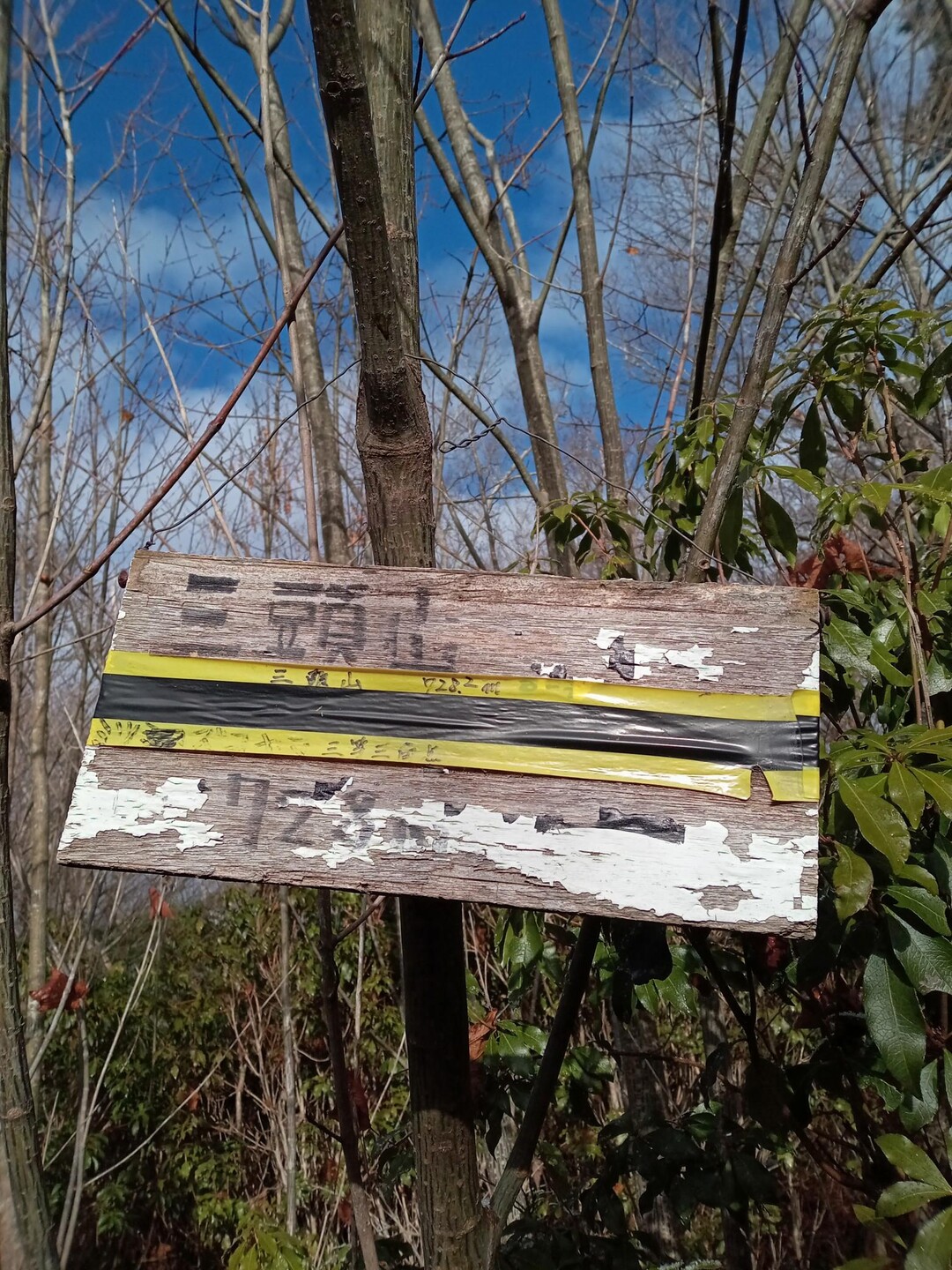 2023.01.03(火) 09:25 / yuusenさんのモーメント | YAMAP / ヤマップ