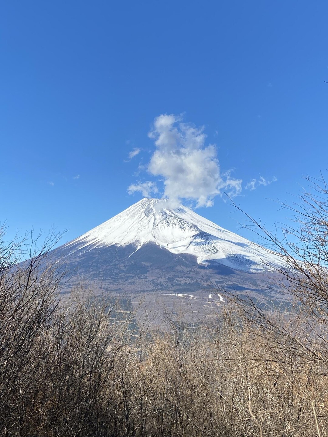 黒岳・越前岳 / 🌴mahalo🌴さんのFUJISAN LONG TRAIL（愛鷹・富士南麓エリア SOUTH）の活動日記 | YAMAP / ヤマップ