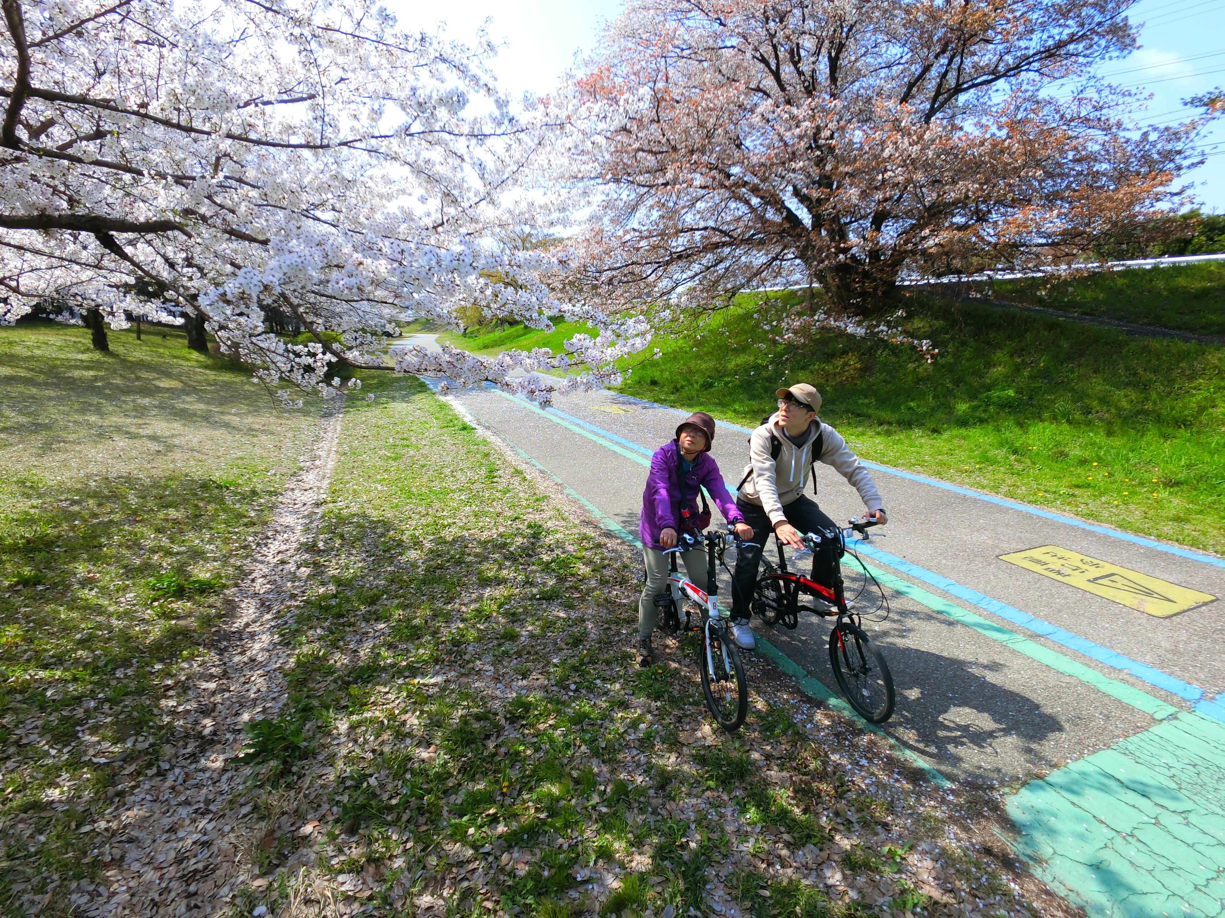 木曽川138サイクリングロードは、 まも... / MUNEさんのモーメント | YAMAP / ヤマップ