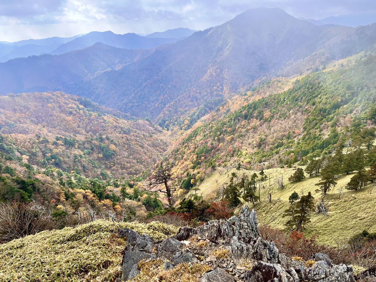 風🌪️ガス😢紅葉🍁😁剣山・次郎笈・二ノ森・一の森 / たけのこ zi ziさんの剣山の活動データ | YAMAP / ヤマップ