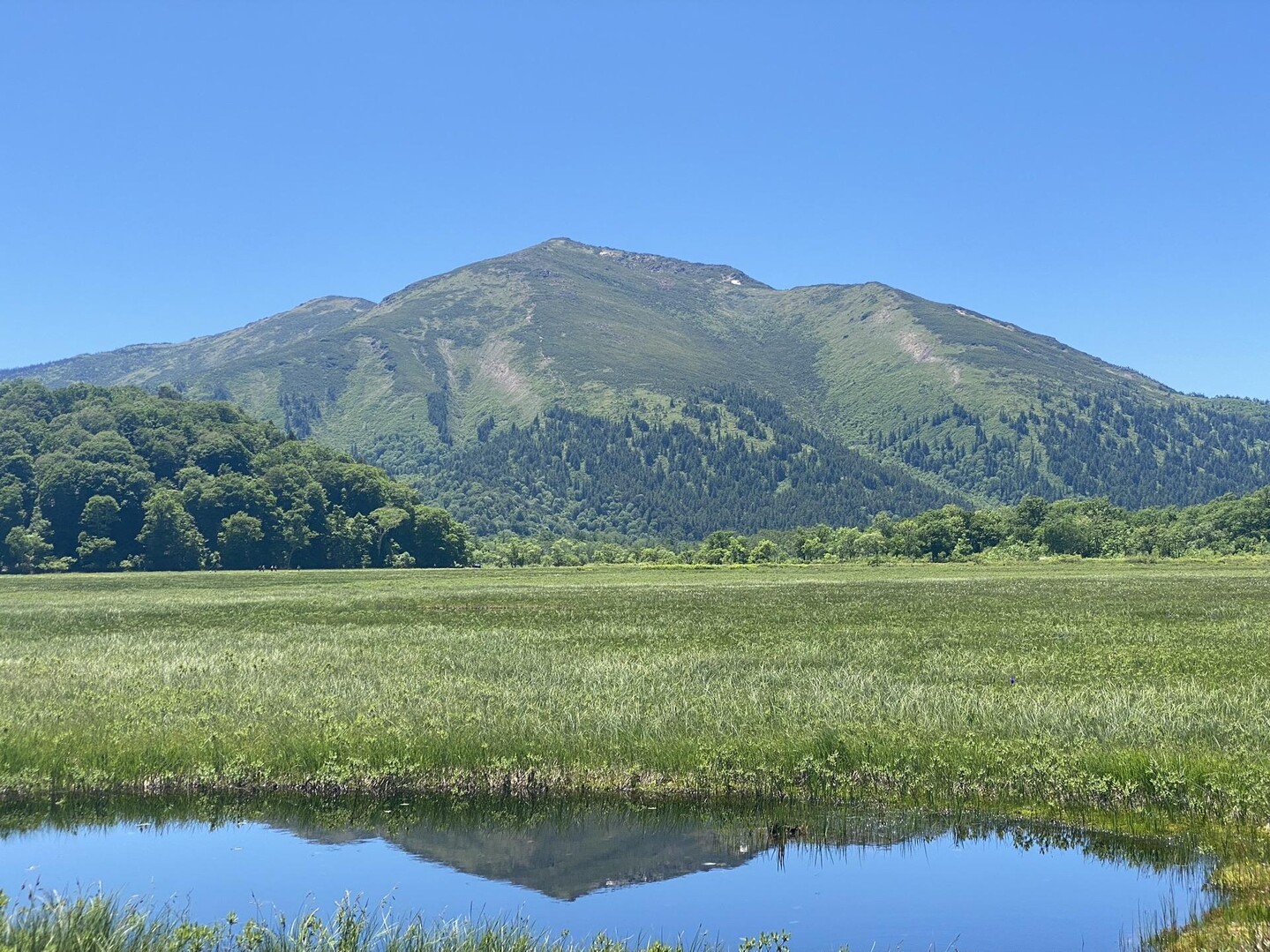 尾瀬・燧ヶ岳-2024-06-19 / Yuuさんの尾瀬・燧ヶ岳の活動データ | YAMAP / ヤマップ