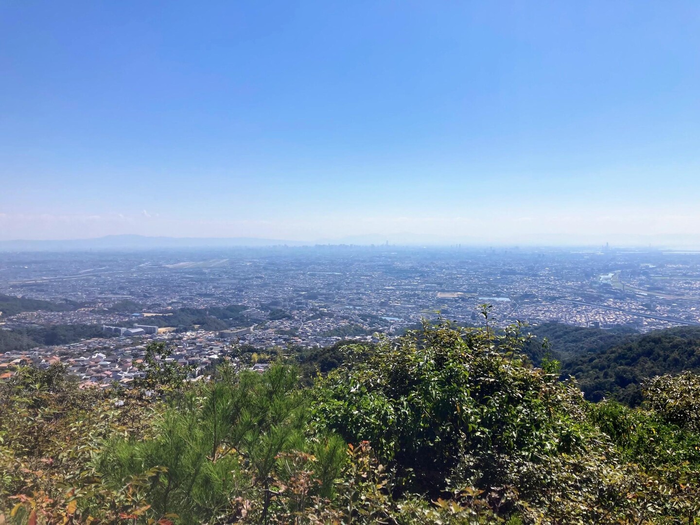 中山・天宮塚 ハイキング / bin0724さんの中山・大峰山の活動データ | YAMAP / ヤマップ