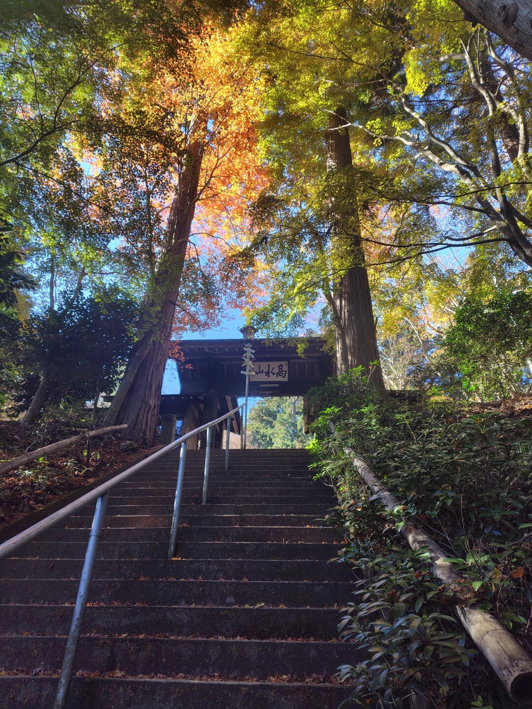 高水三山 第2弾 / yusienaさんの棒ノ折山（棒ノ嶺）の活動データ | YAMAP / ヤマップ