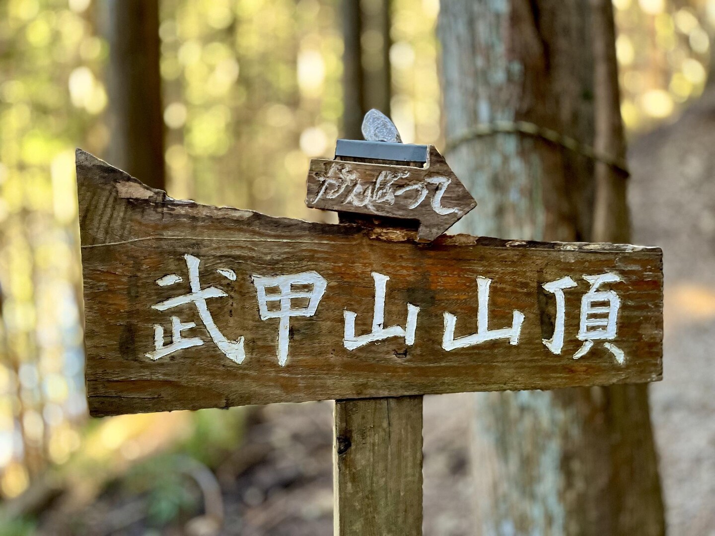 武甲山 / mikaさんの武甲山・伊豆ヶ岳・小持山の活動データ | YAMAP / ヤマップ